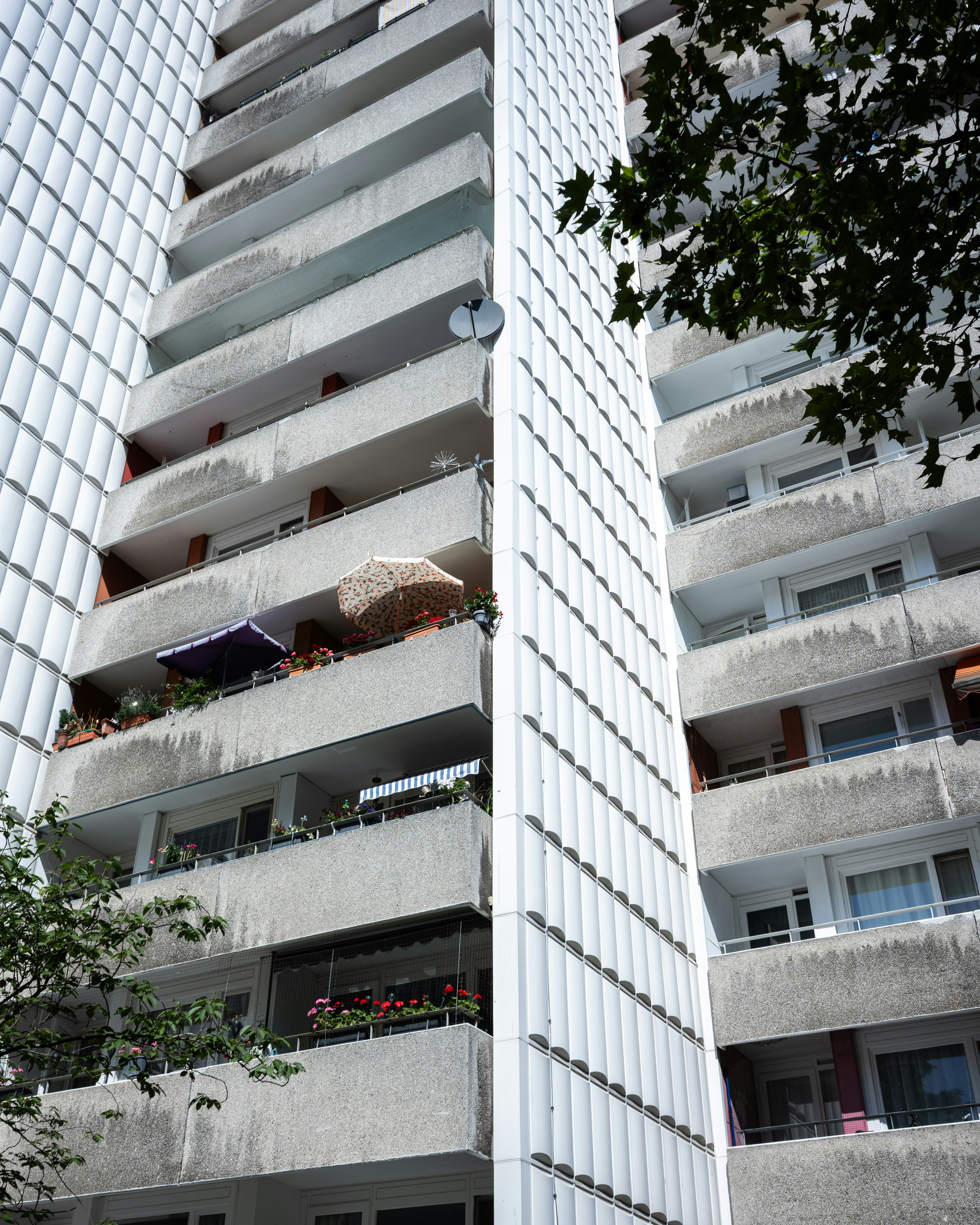 Balcony Lines and Sunlit Facades: A Towering Urban Rhythm