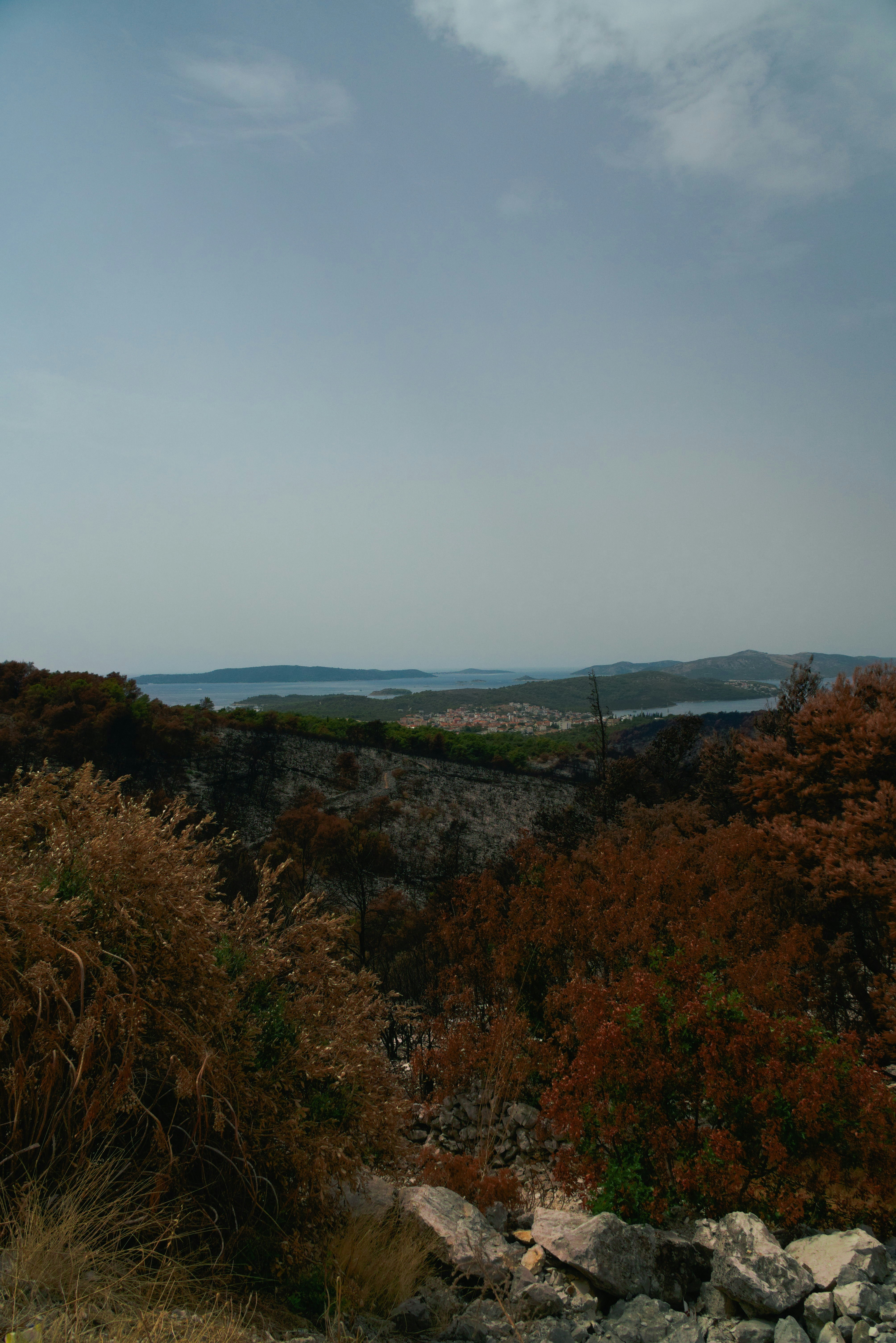 Sunlit Coastal Ridge Framed by Autumn Foliage