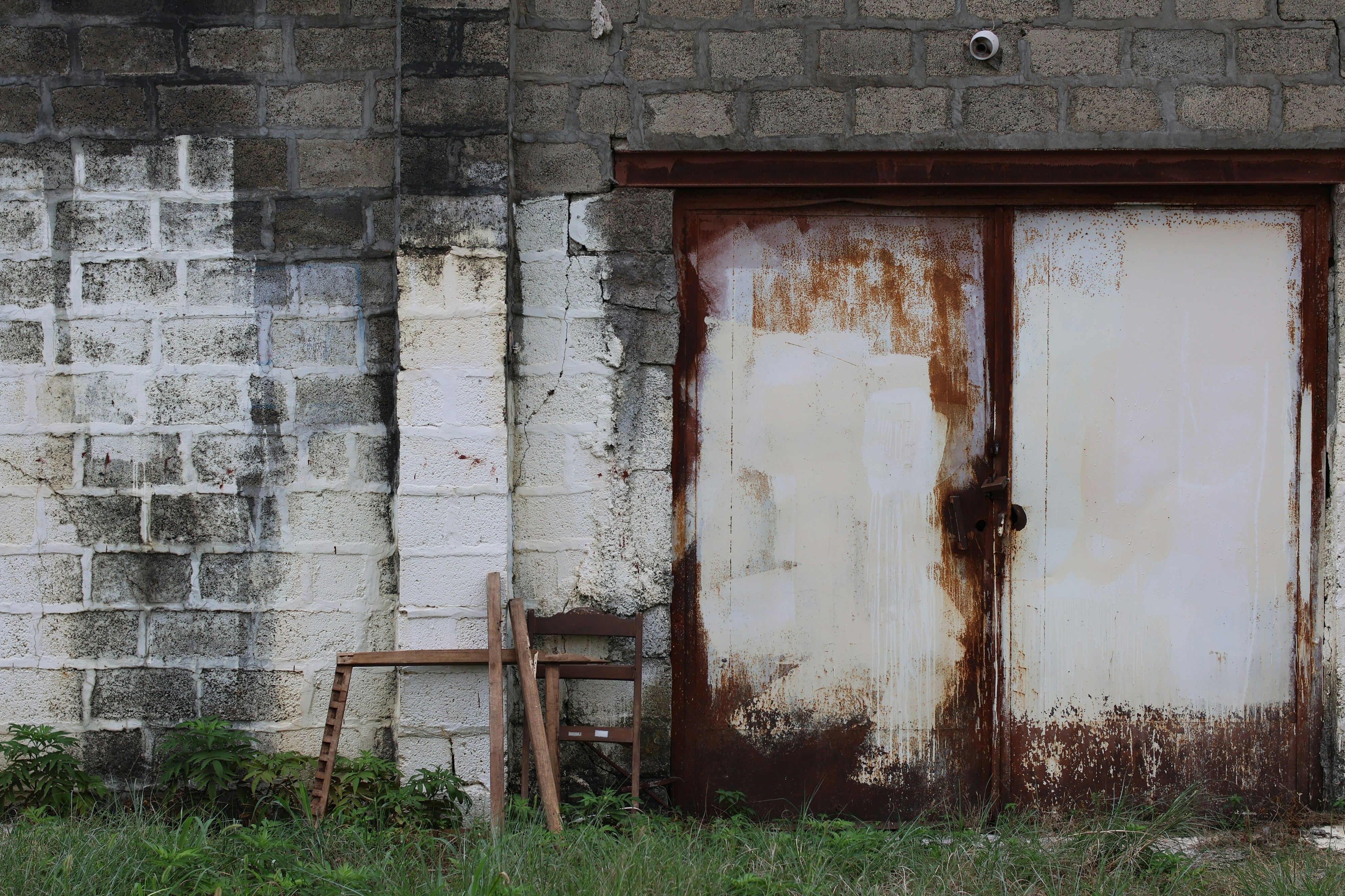 Rust and Reeds: A Quiet Corner of an Abandoned Wall