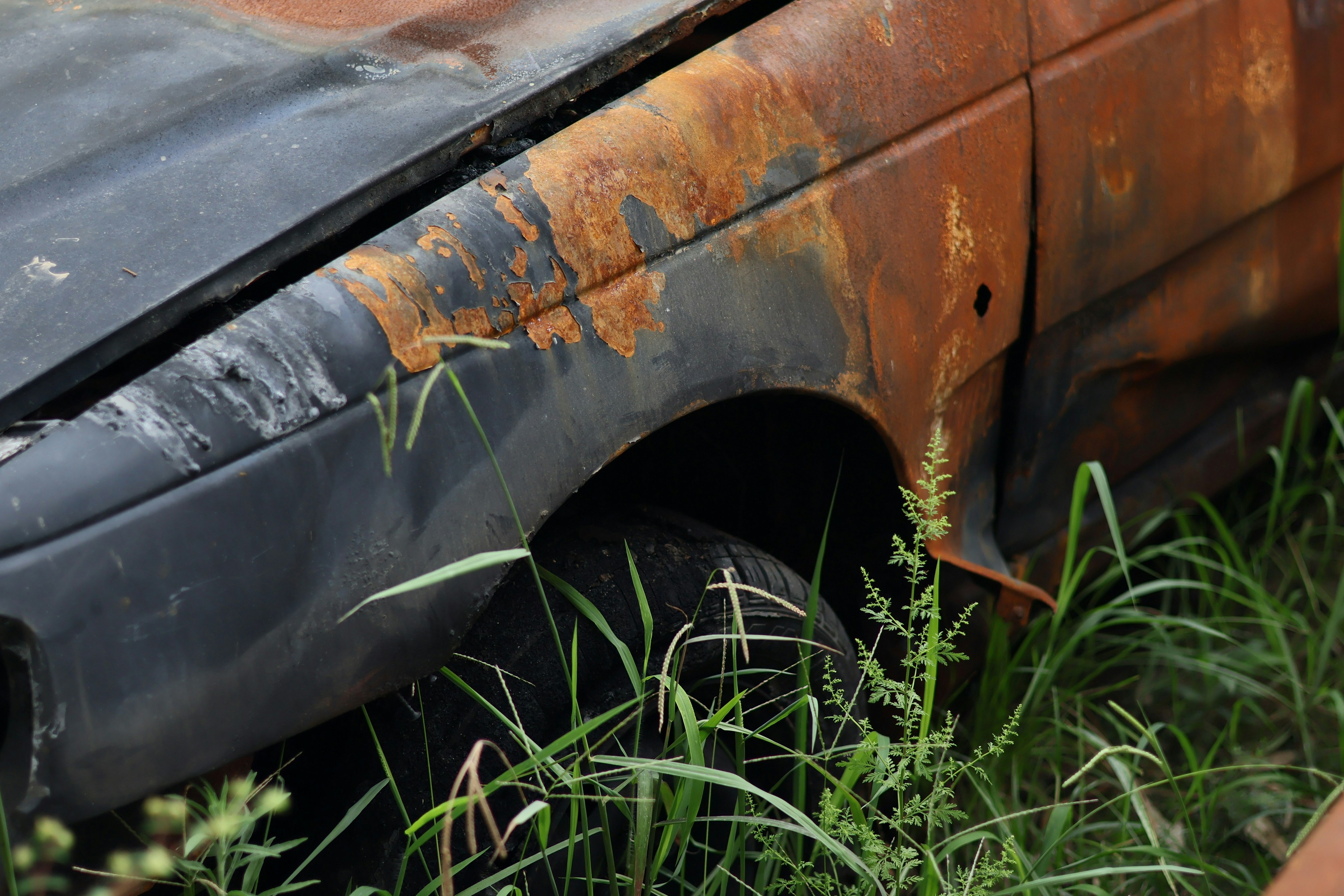 Rusting Relic: Grass-Guarded Car Drift