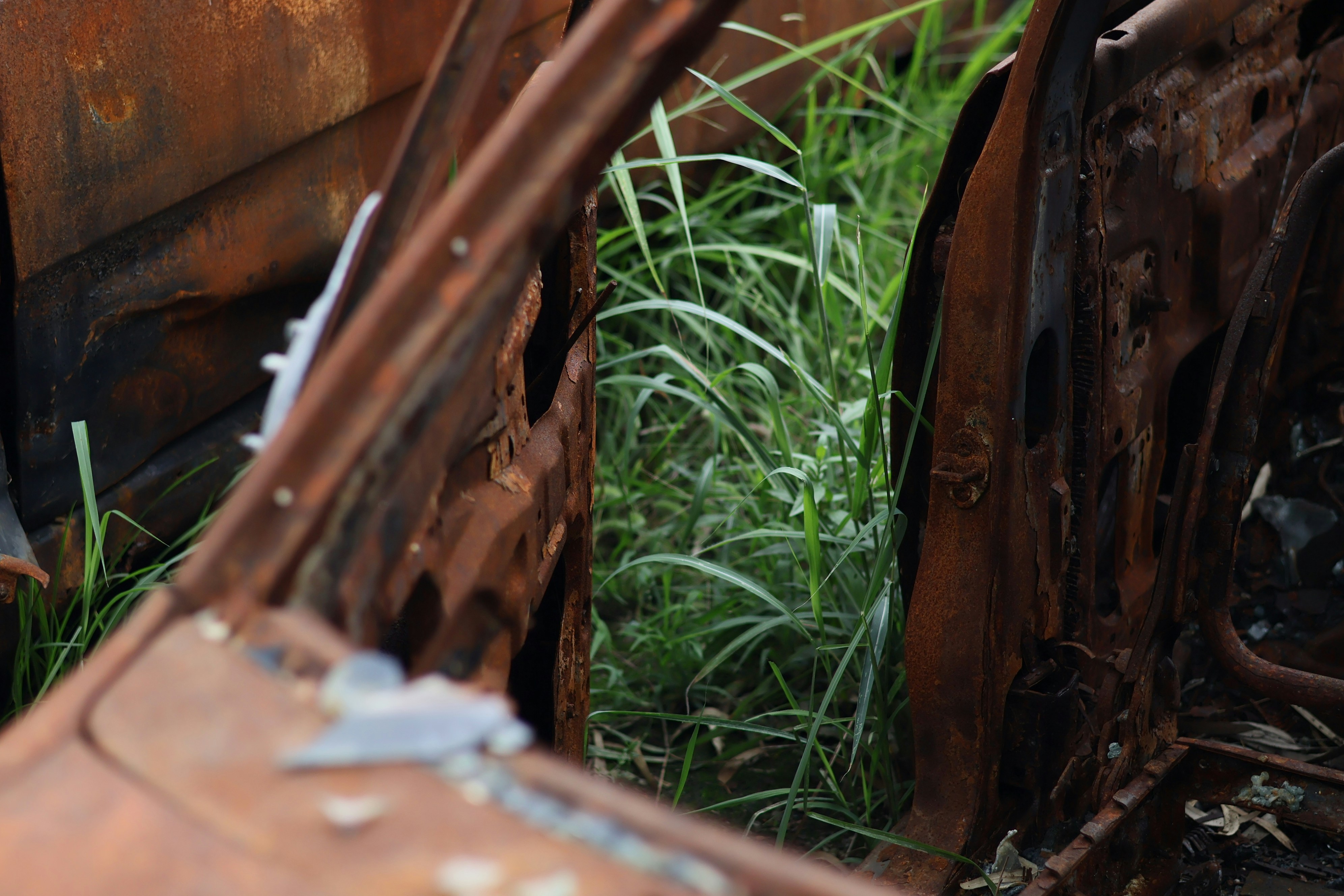 Rust and Reclaimed Grass: A Quiet Gap Between Decay and Green",
  