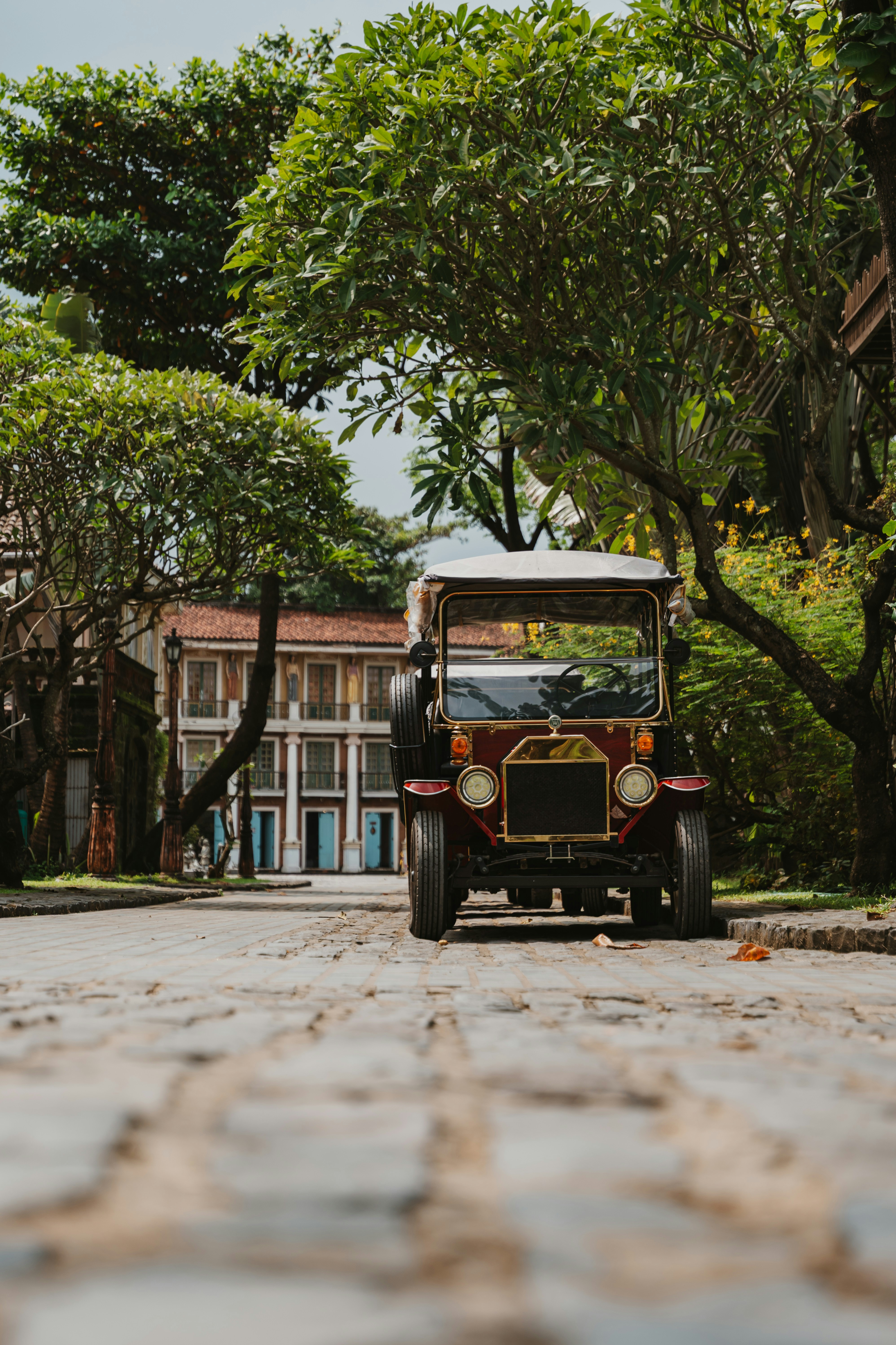 Vintage Roadside Gentry: A Classic Car Framed by Lush Urban Canopy