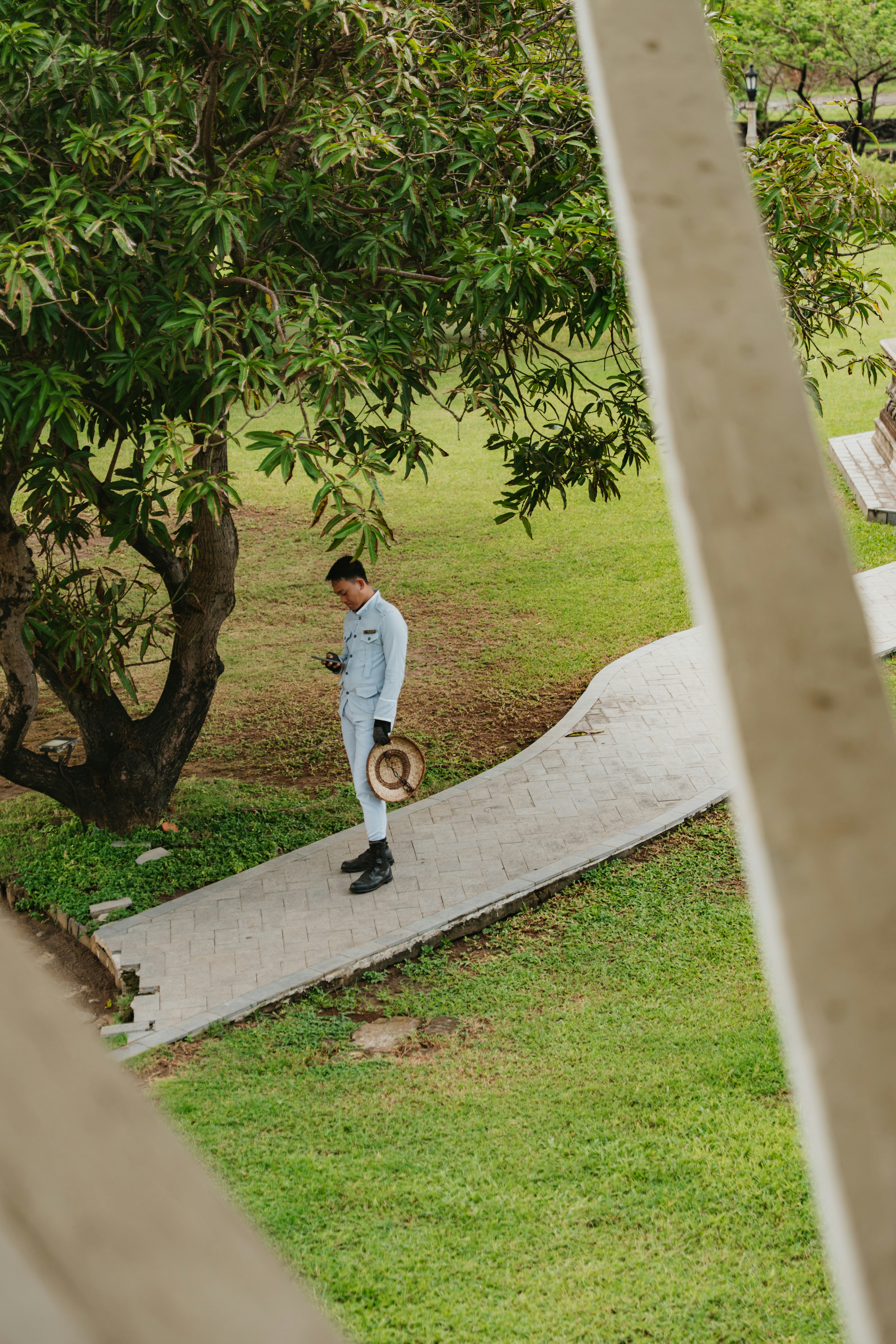 A Quiet Moment in the Park: Student with Hat by the Tree