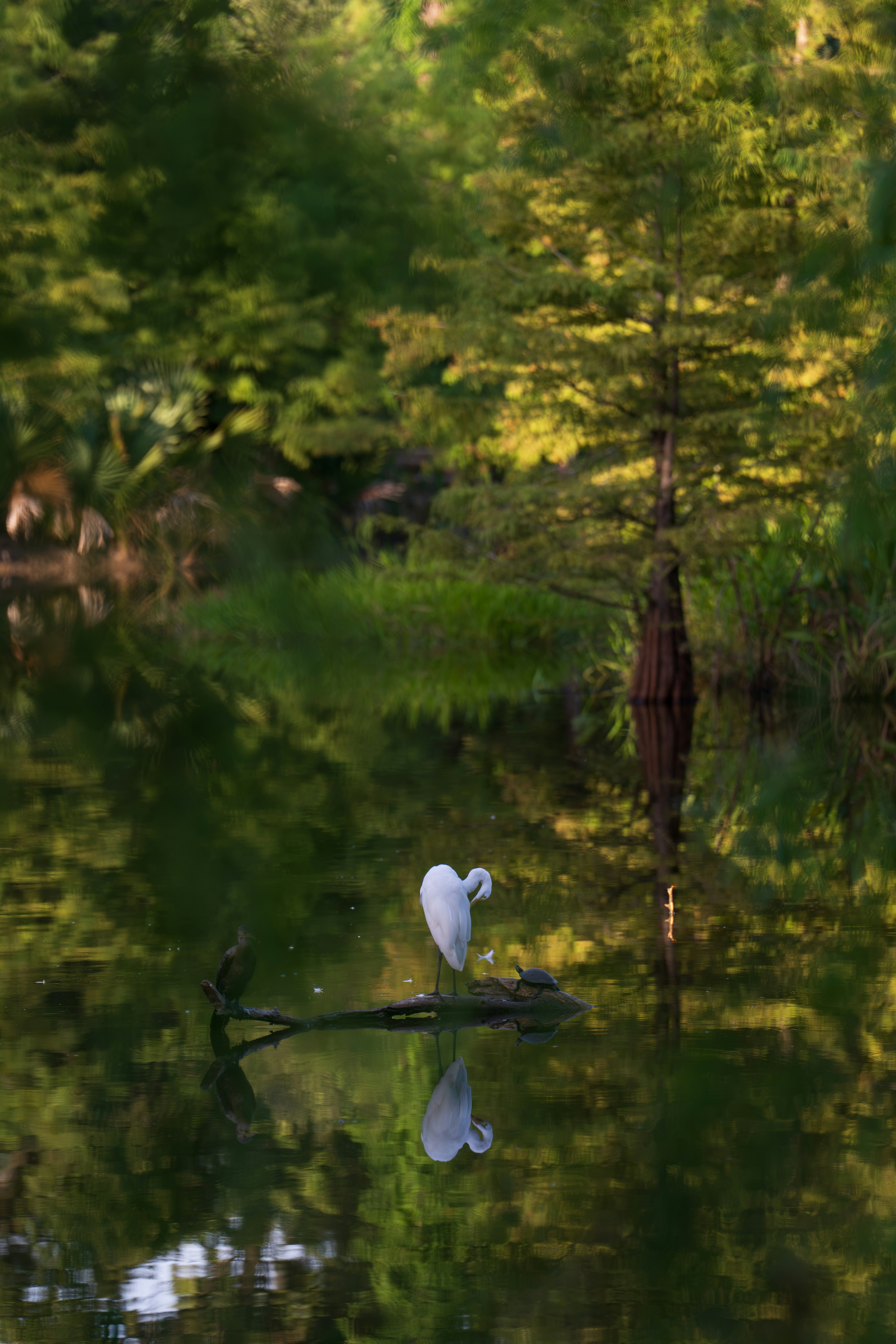 Serene Heron Sentinel on a Moonlit Log