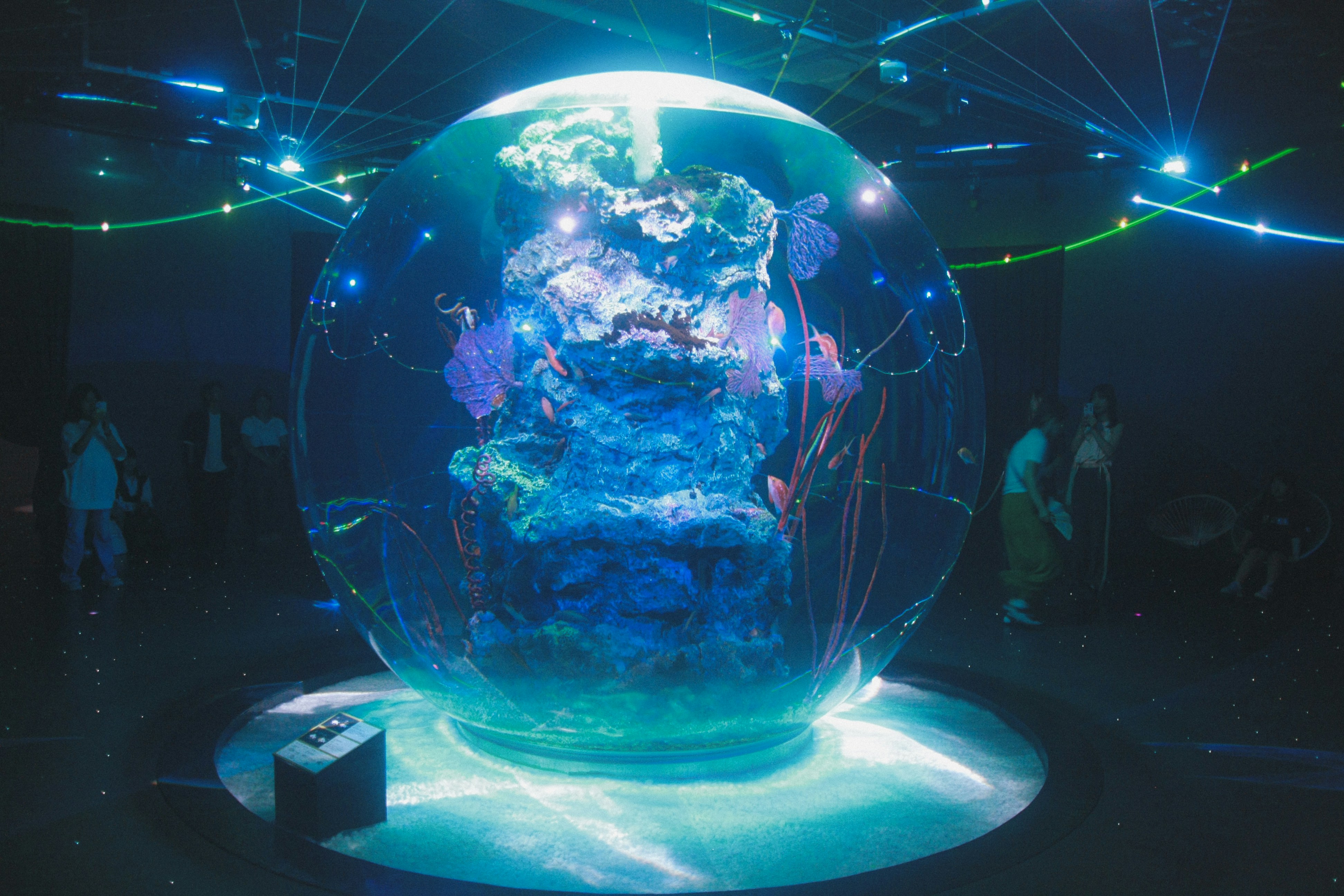 Globe of Light: Interactive Earth Under Neon Skies