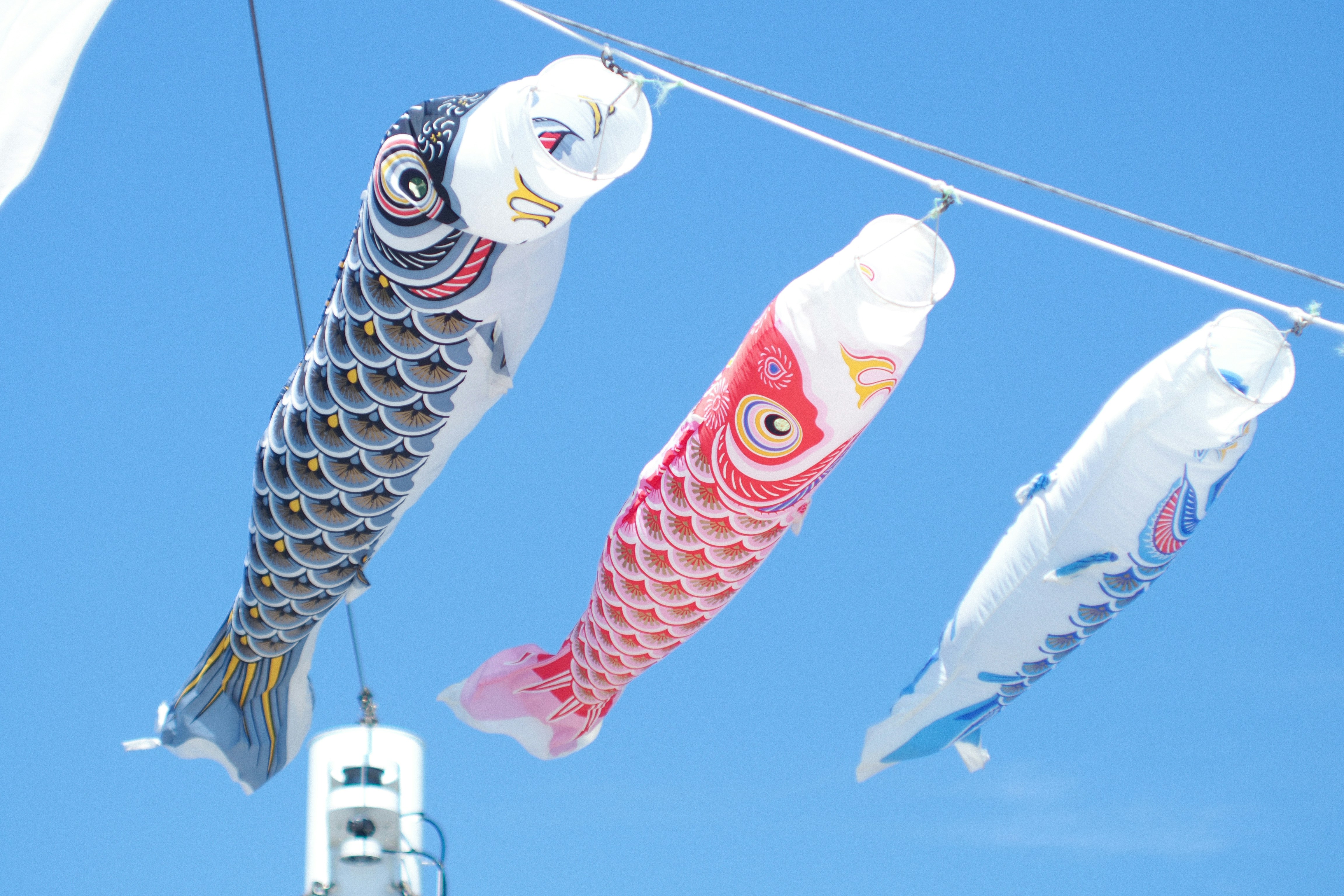 Three colorful carp-shaped koinobori streamers hanging from a line against a clear blue sky