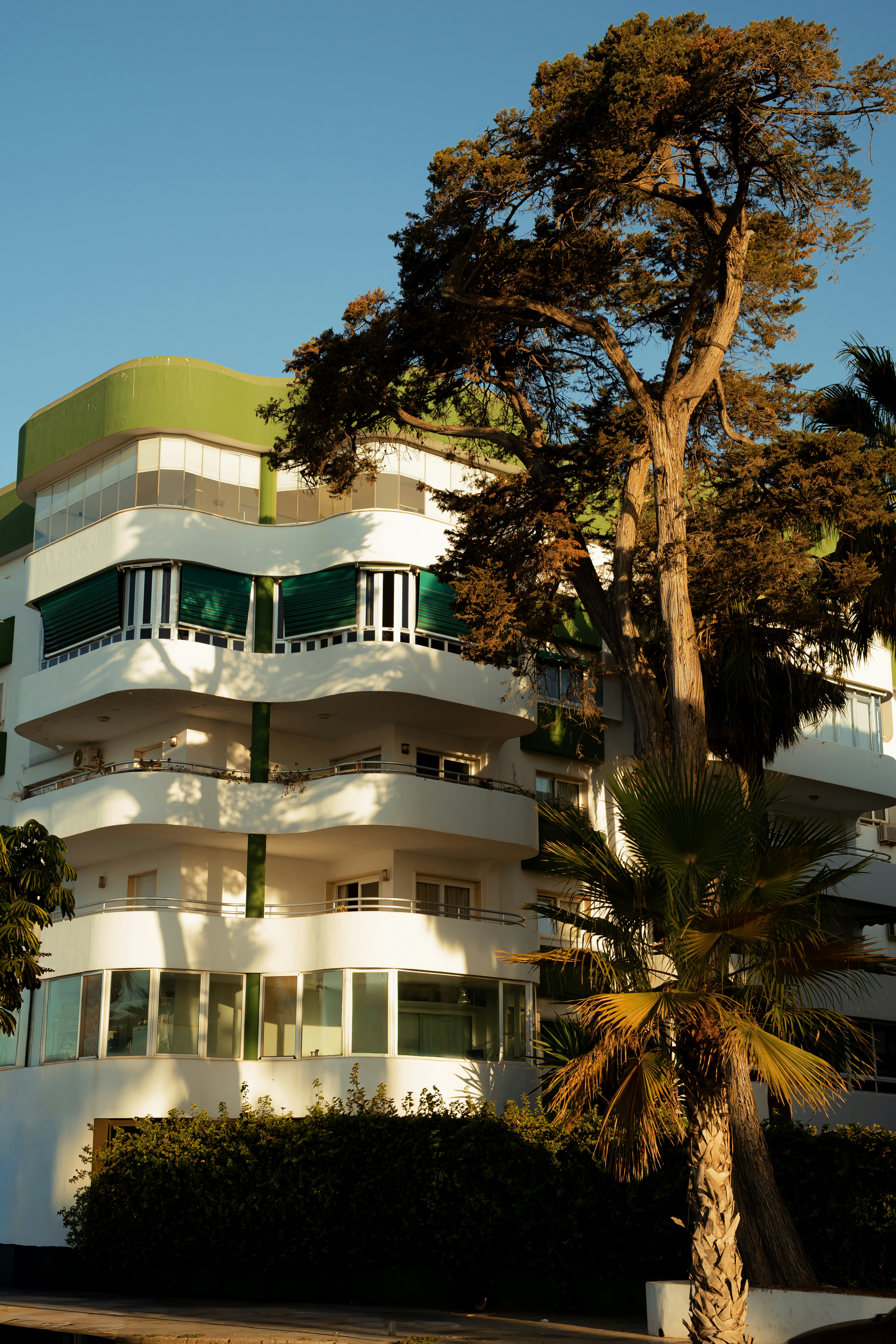 Sunlit Art Deco Residence Sheltered by an Ancient Tree