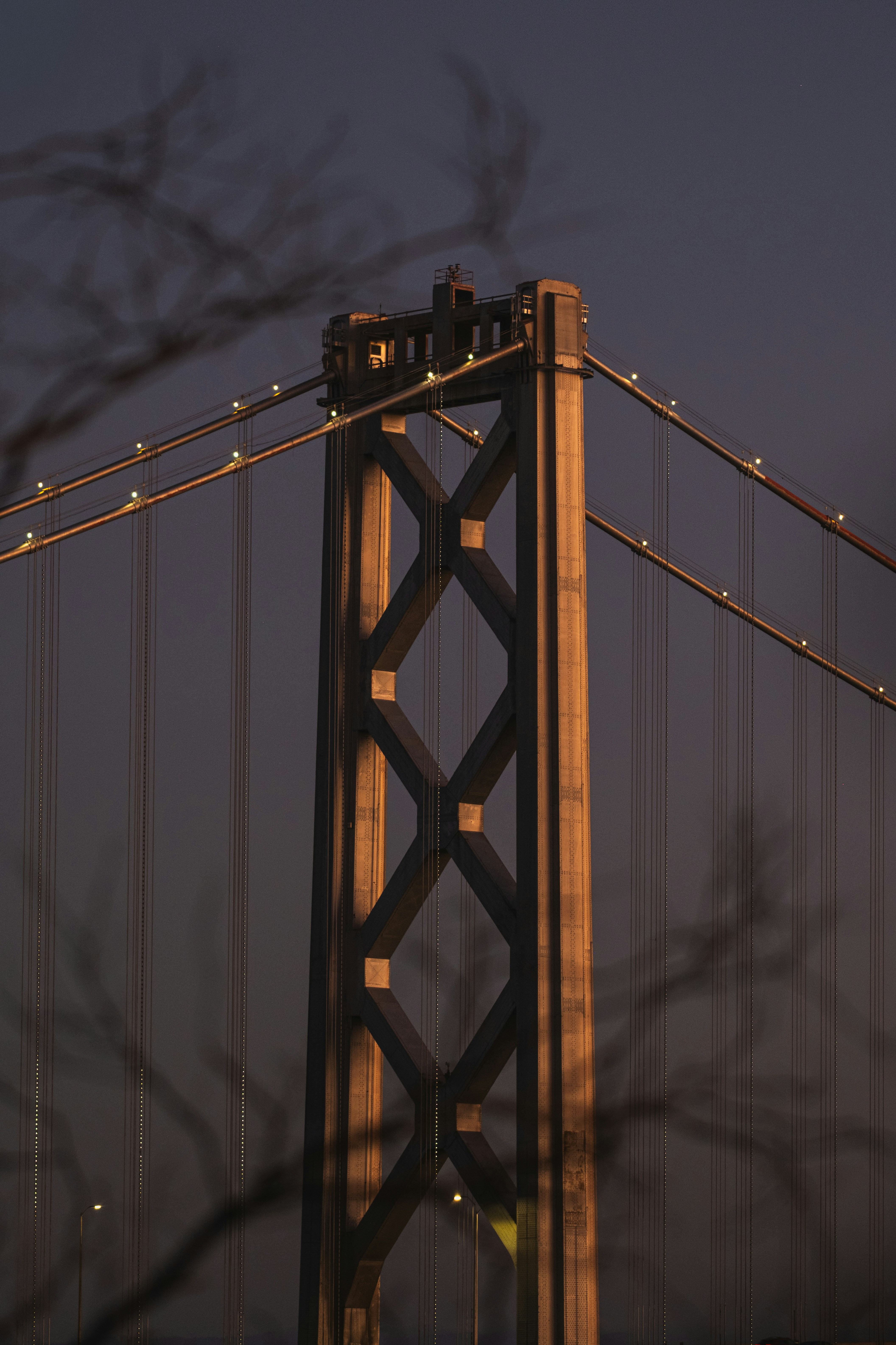 Nightfall on the Steel Spine: The Tacoma Bridge Ritual