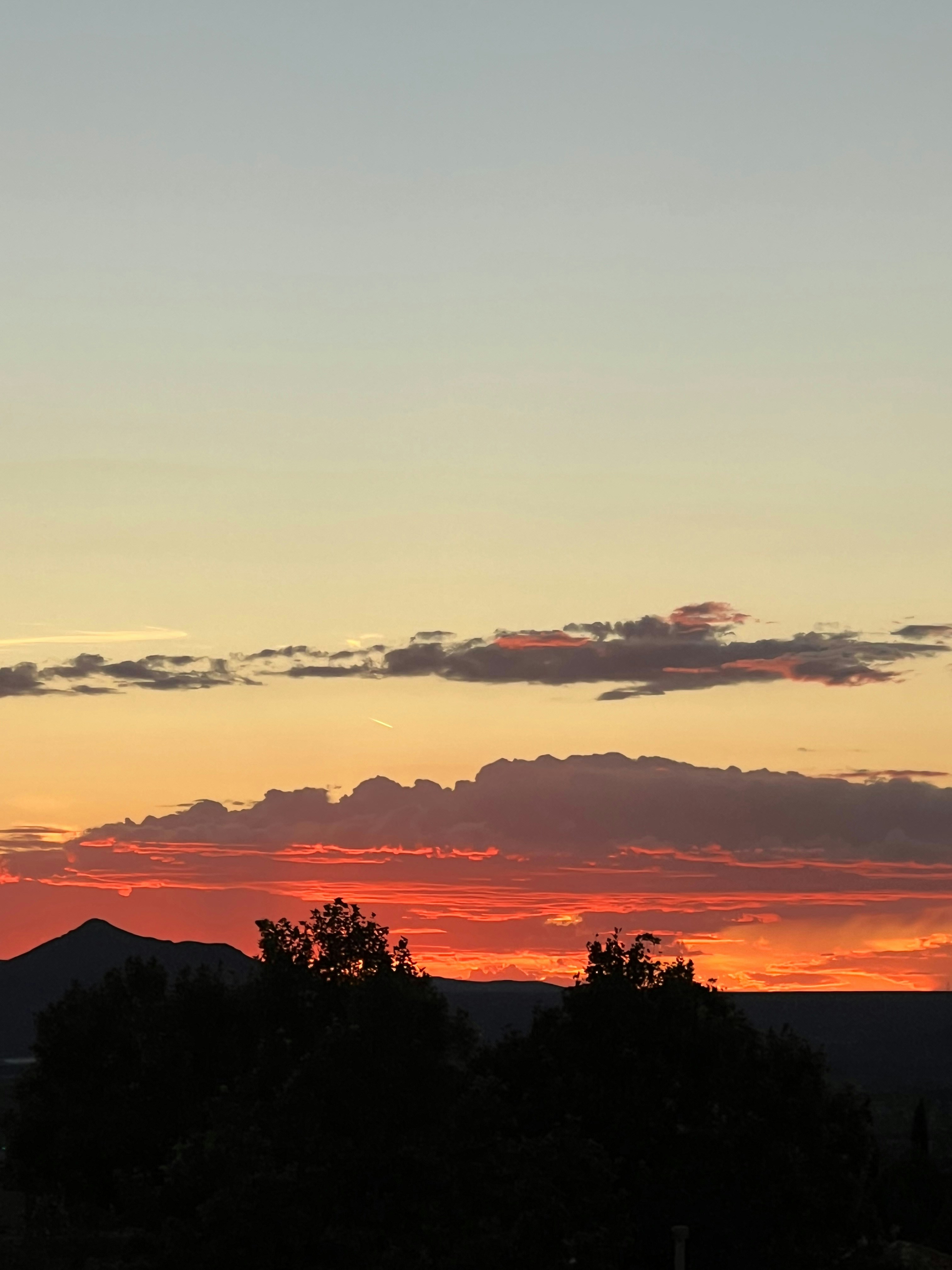 Horizon Ember: A Quiet Sunset Over Silhouetted Trees