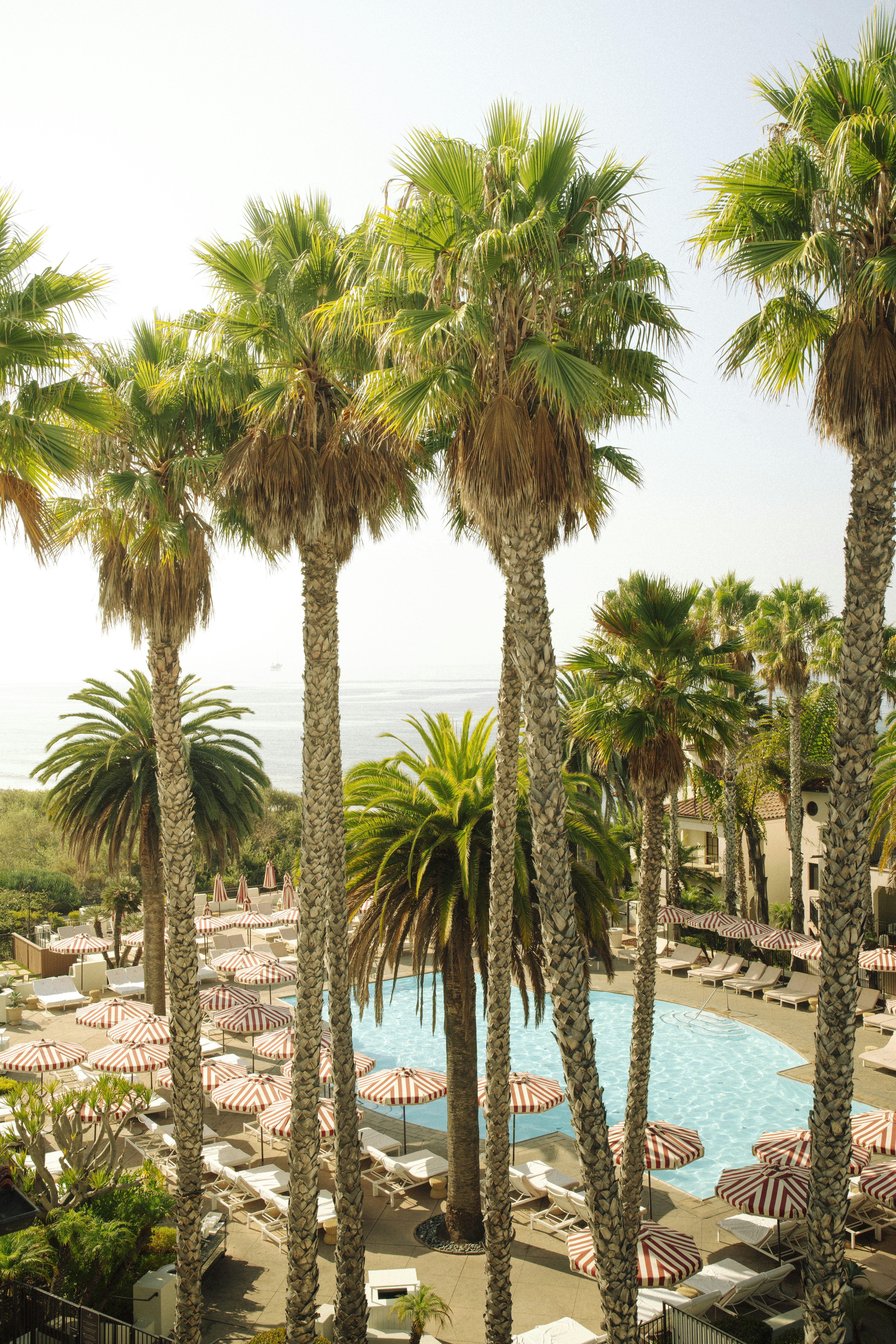 Bright resort scene with tall palm trees framing a curved pool and striped umbrellas, sunlit and inviting. Acknowledges the environment as a photography of a tropical resort area.