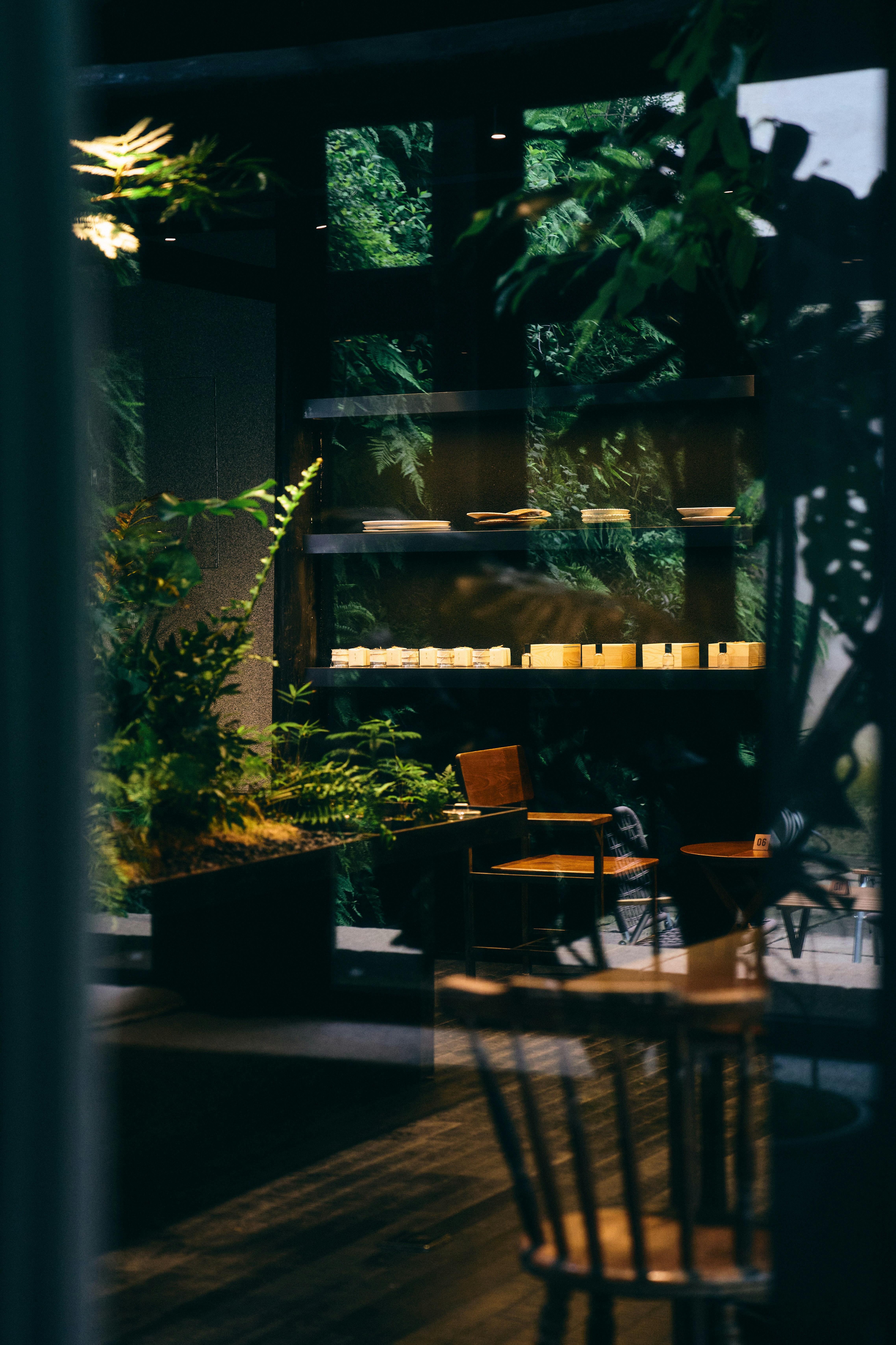 Glass Door Café: Indoor Plants and Shelves Reflected in Night Glass