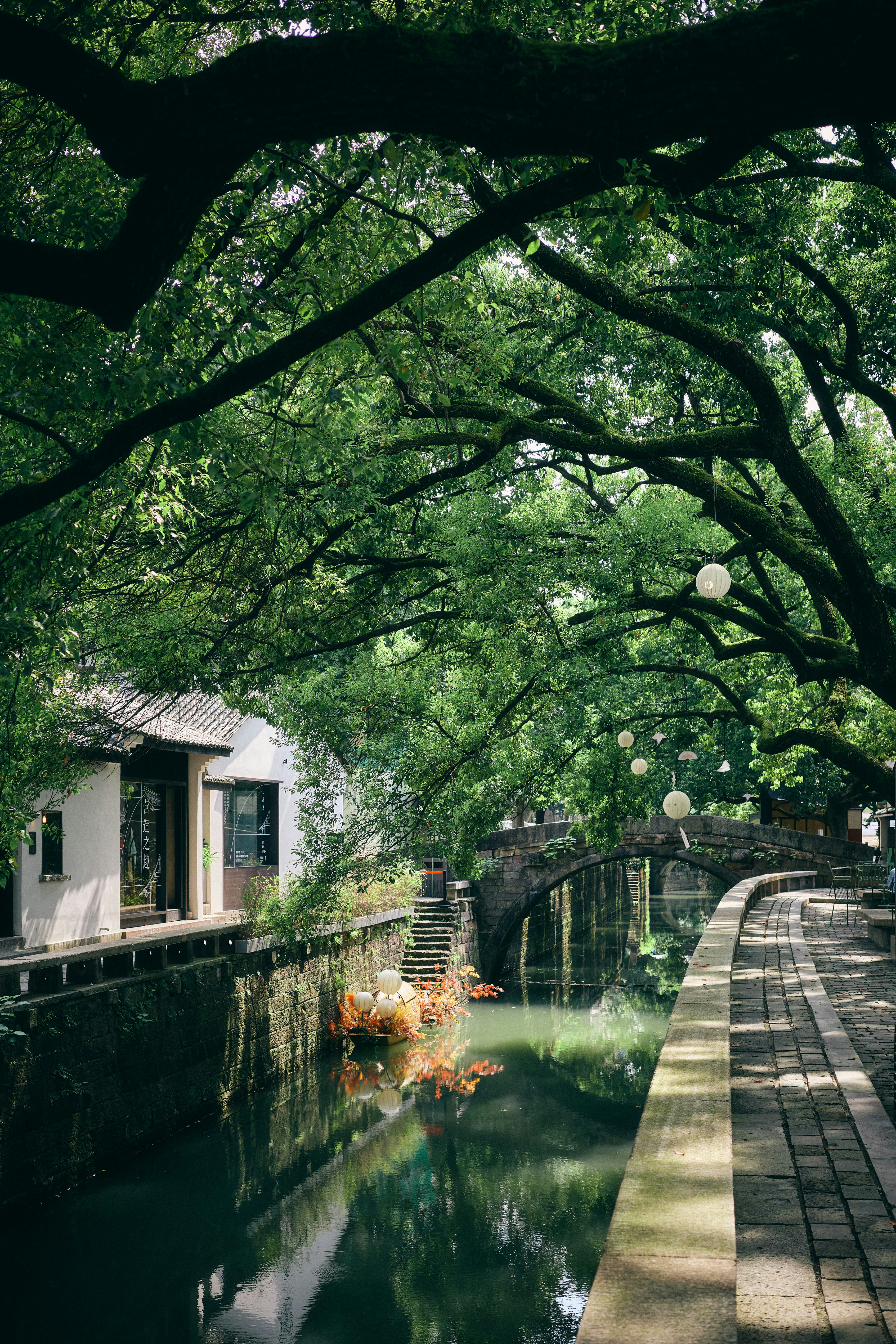 Canalway Under Canopy: A Quiet Bridge Between Reflections