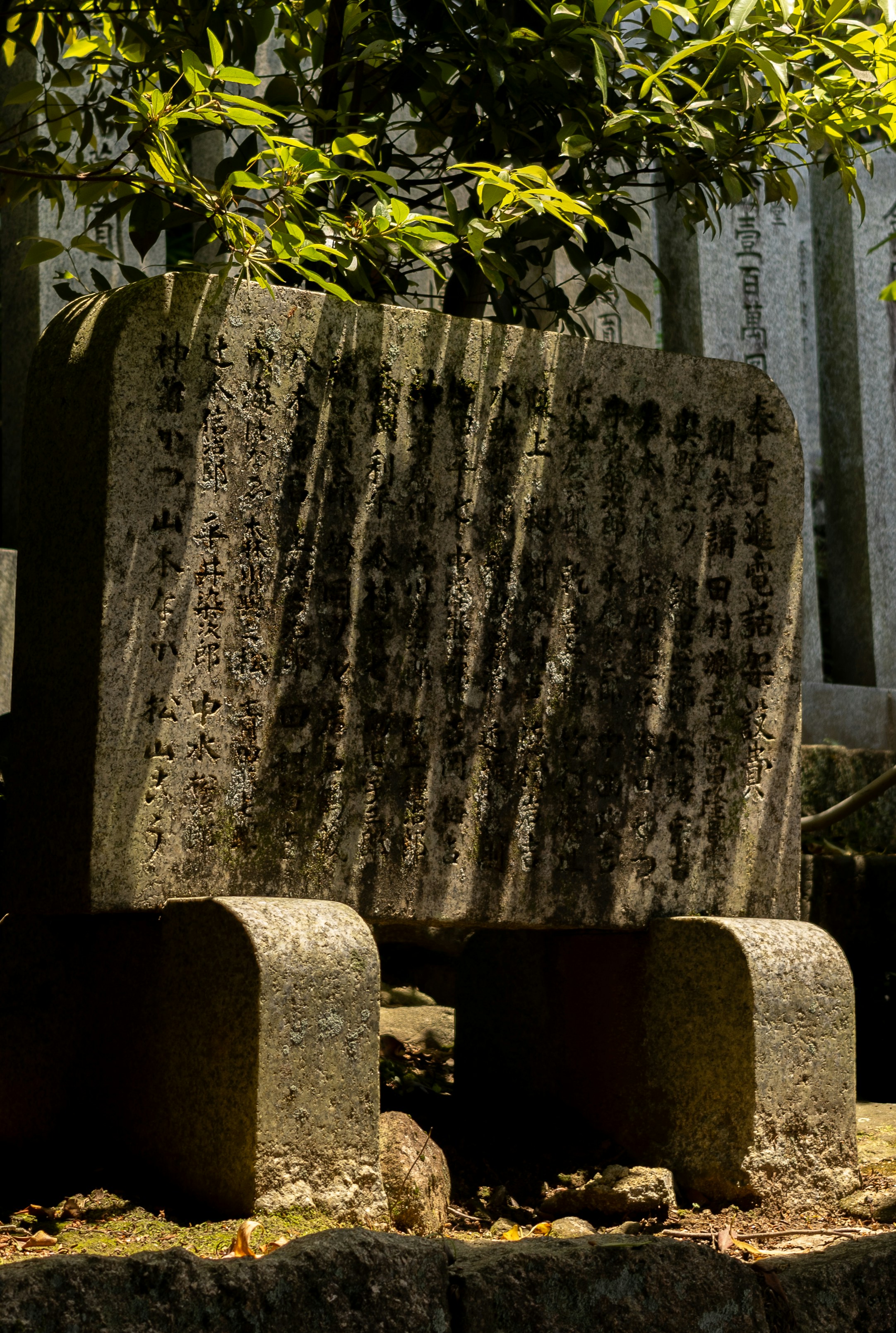 Sunlit Stone Tablet: Japanese Script Amid Green Overhang