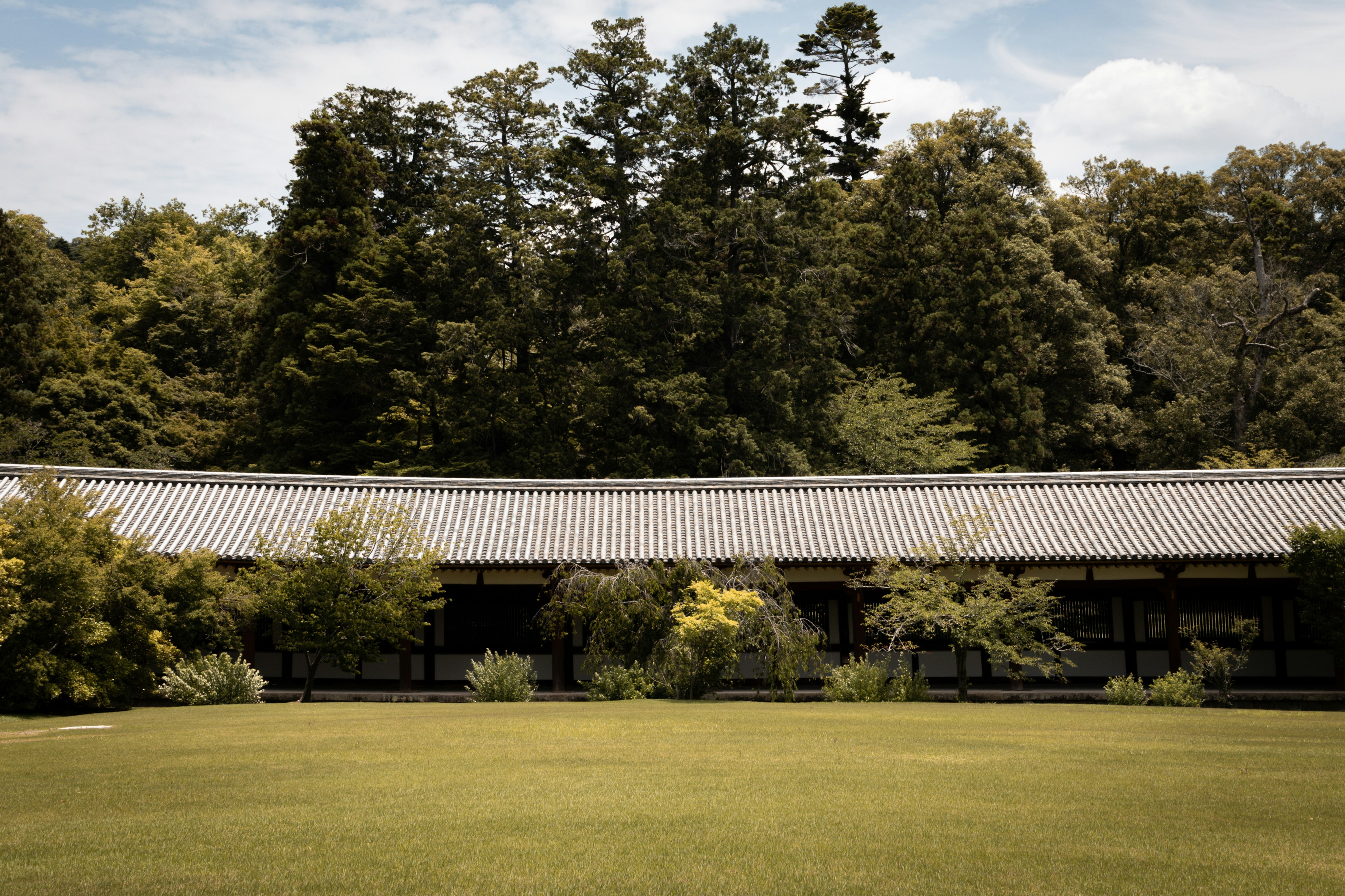 Quiet Courtyard: A Line of Shrubs and a Long Roof Under a Woodland Sky