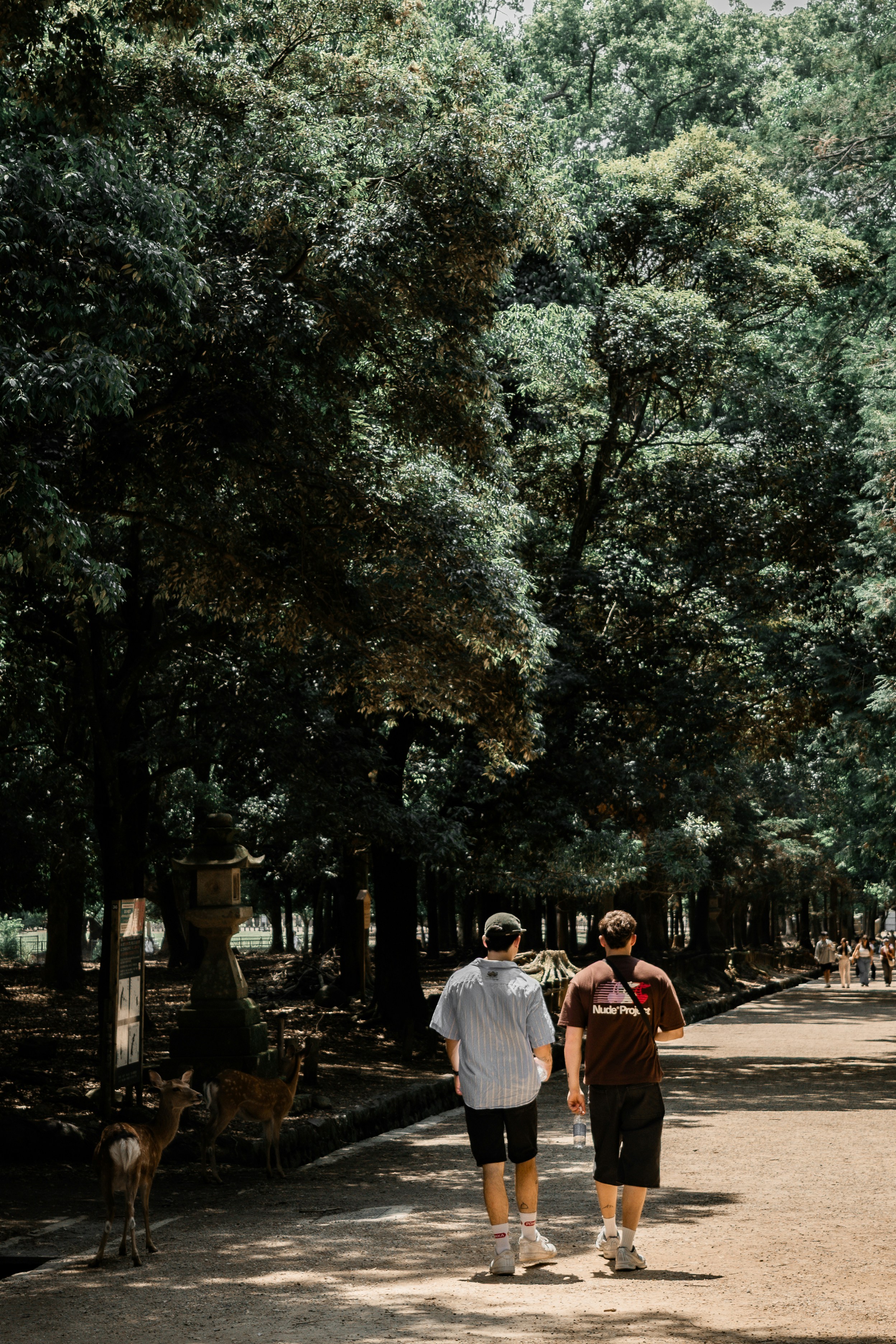 Two friends in a sunlit park path framed by a canopy