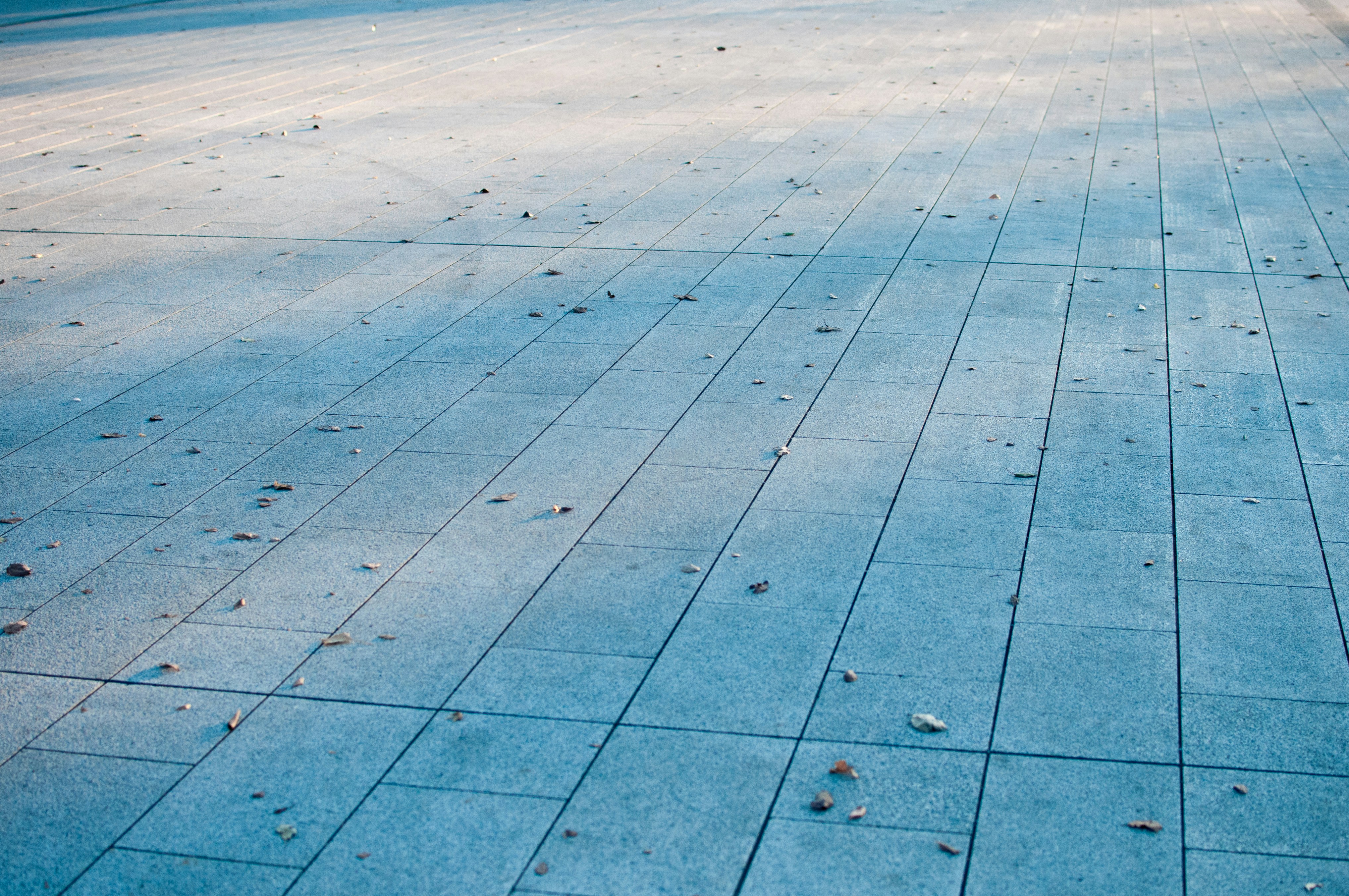 Blue-tinted tiled plaza extending into the distance with scattered leaves and small debris; a tranquil, minimal outdoor space.
