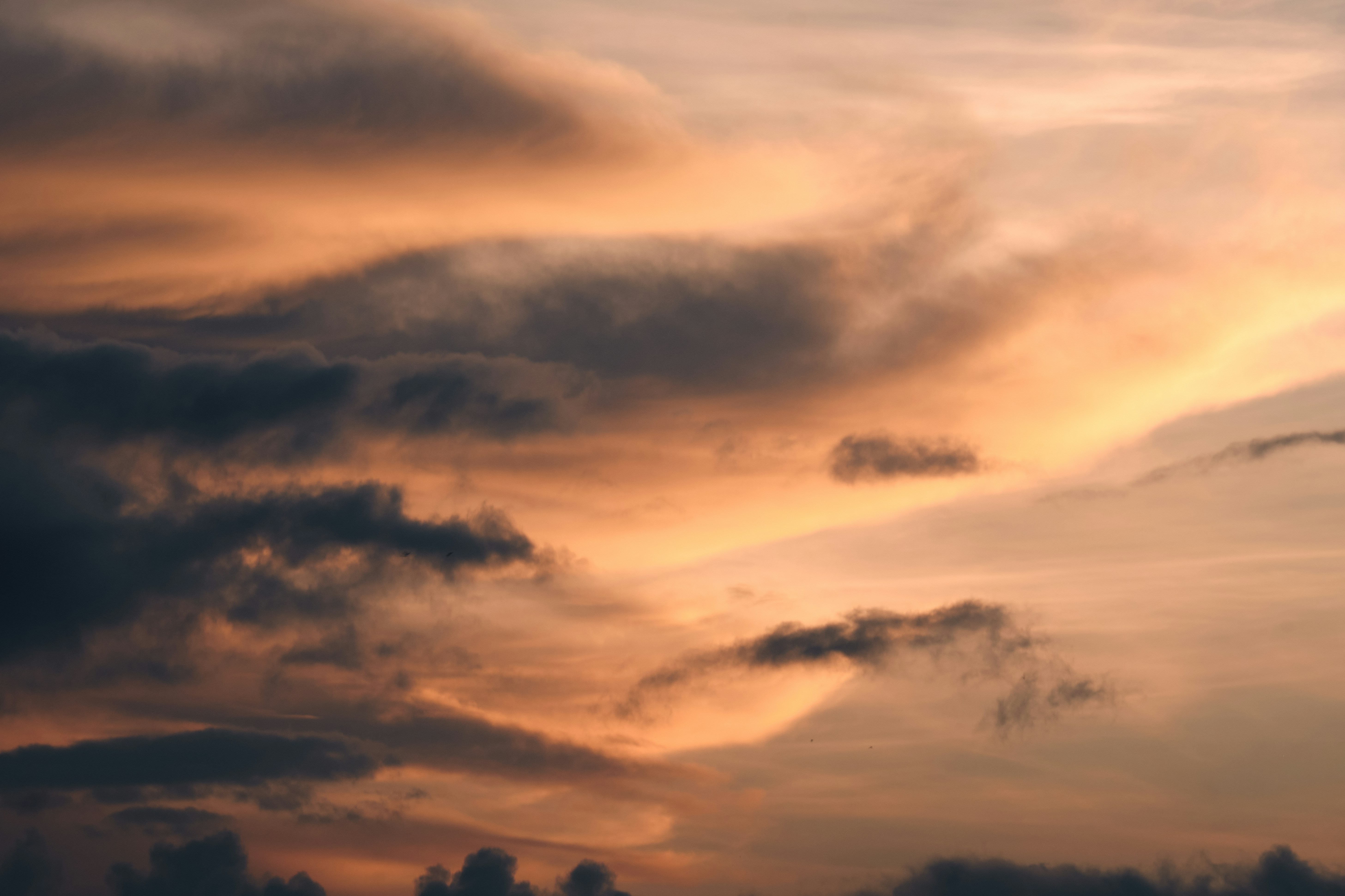 Gold and Indigo Skies: A Quiet Sunset Over Cloudscapes