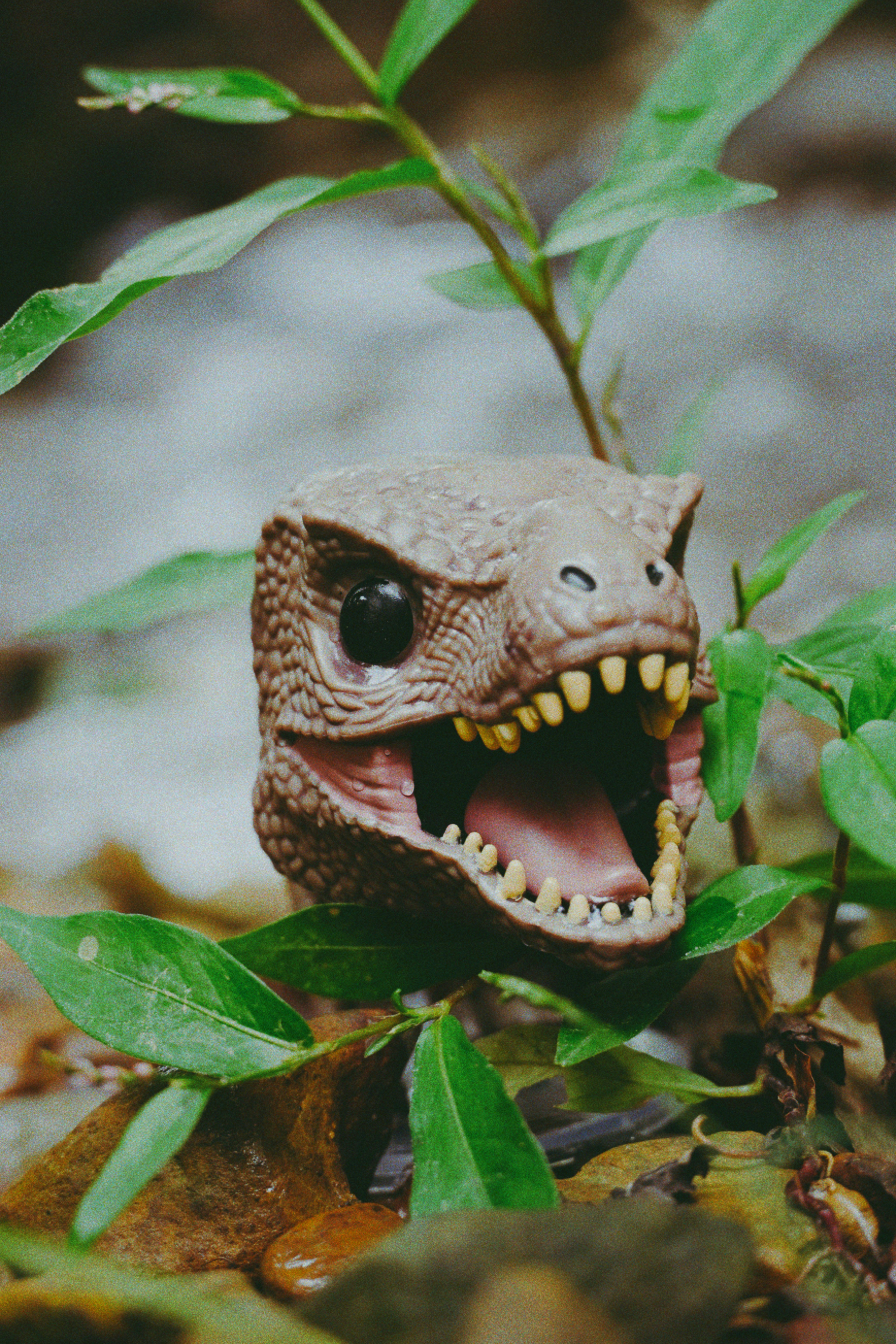 Toothy Snarl in Greenbound: A Lip-locked Dragonfruit in the Foliage