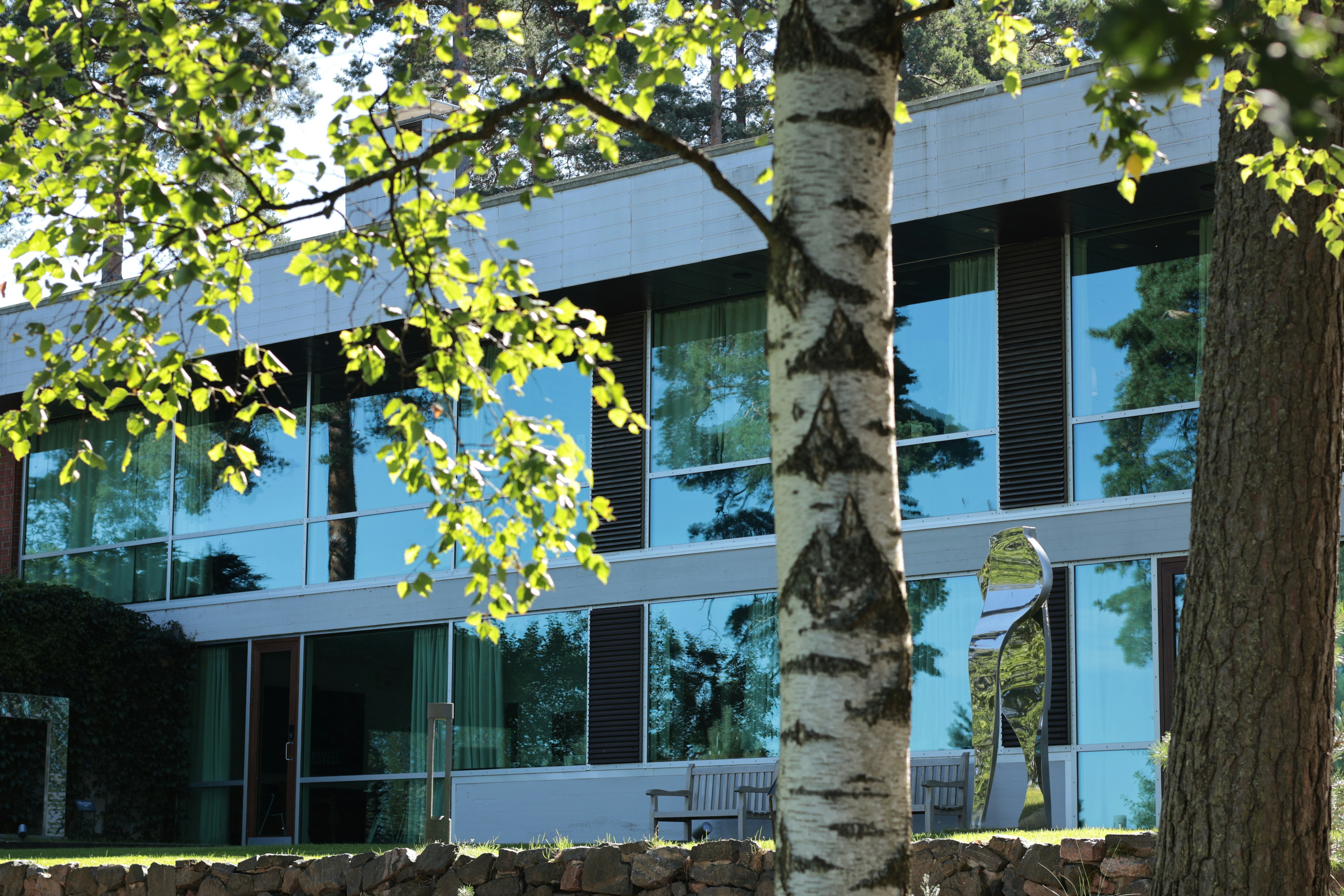 Glass Facade Reflections Beneath a Birch Canopy