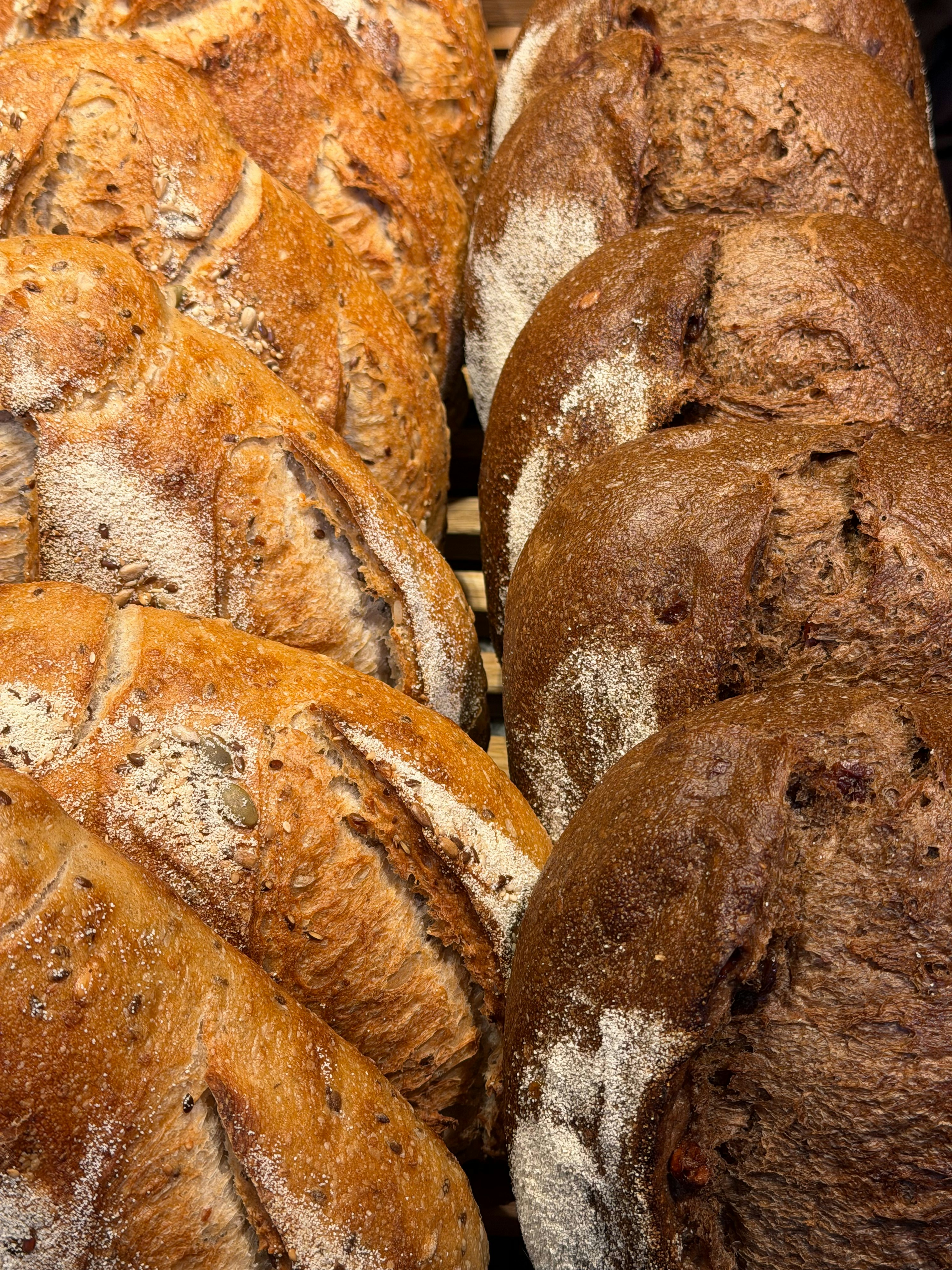 Rows of Handcrafted Loaves: Golden Crusts Meet Deep Cocoa