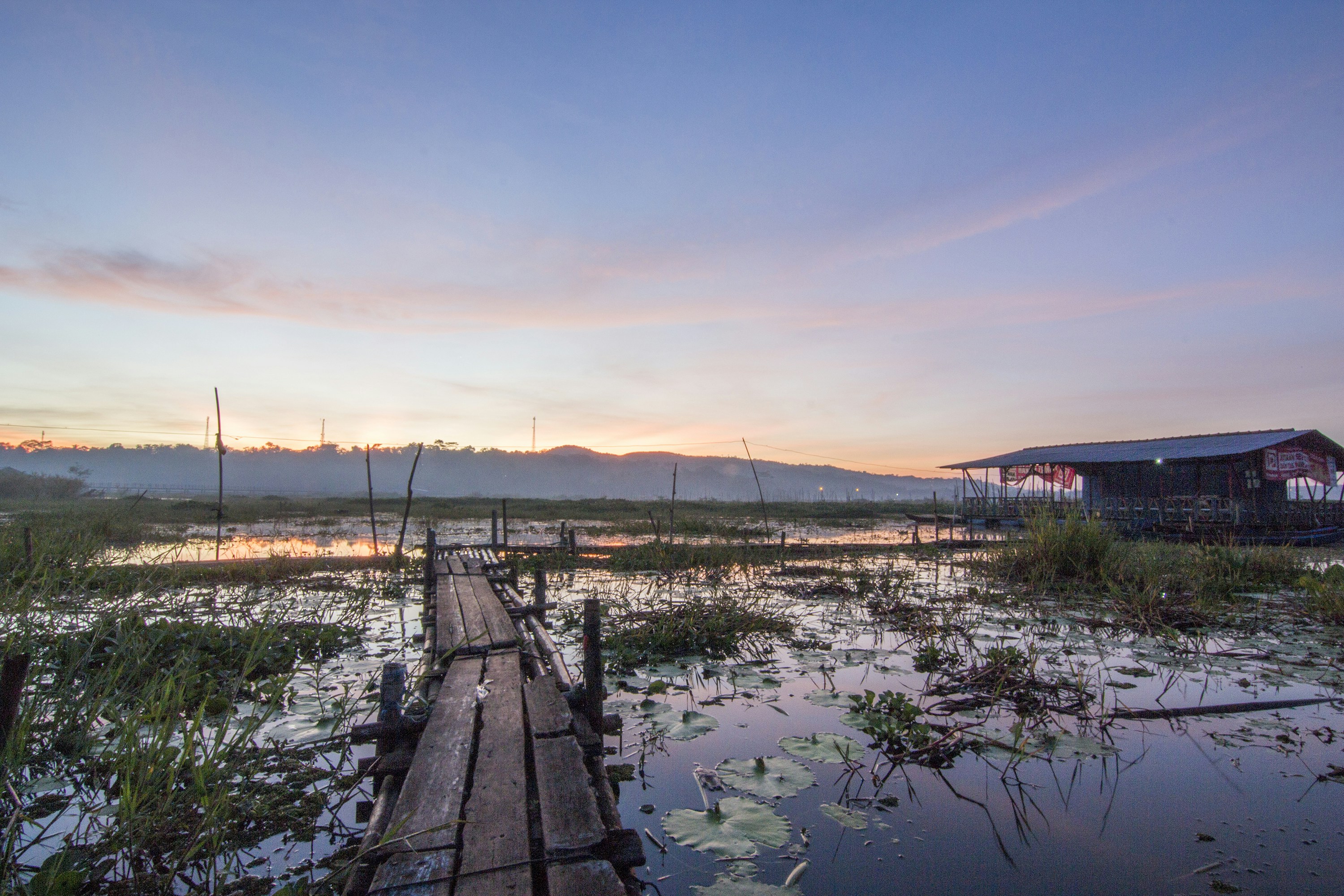 Sunrise over a weathered dock: quiet reflections on a floating marsh