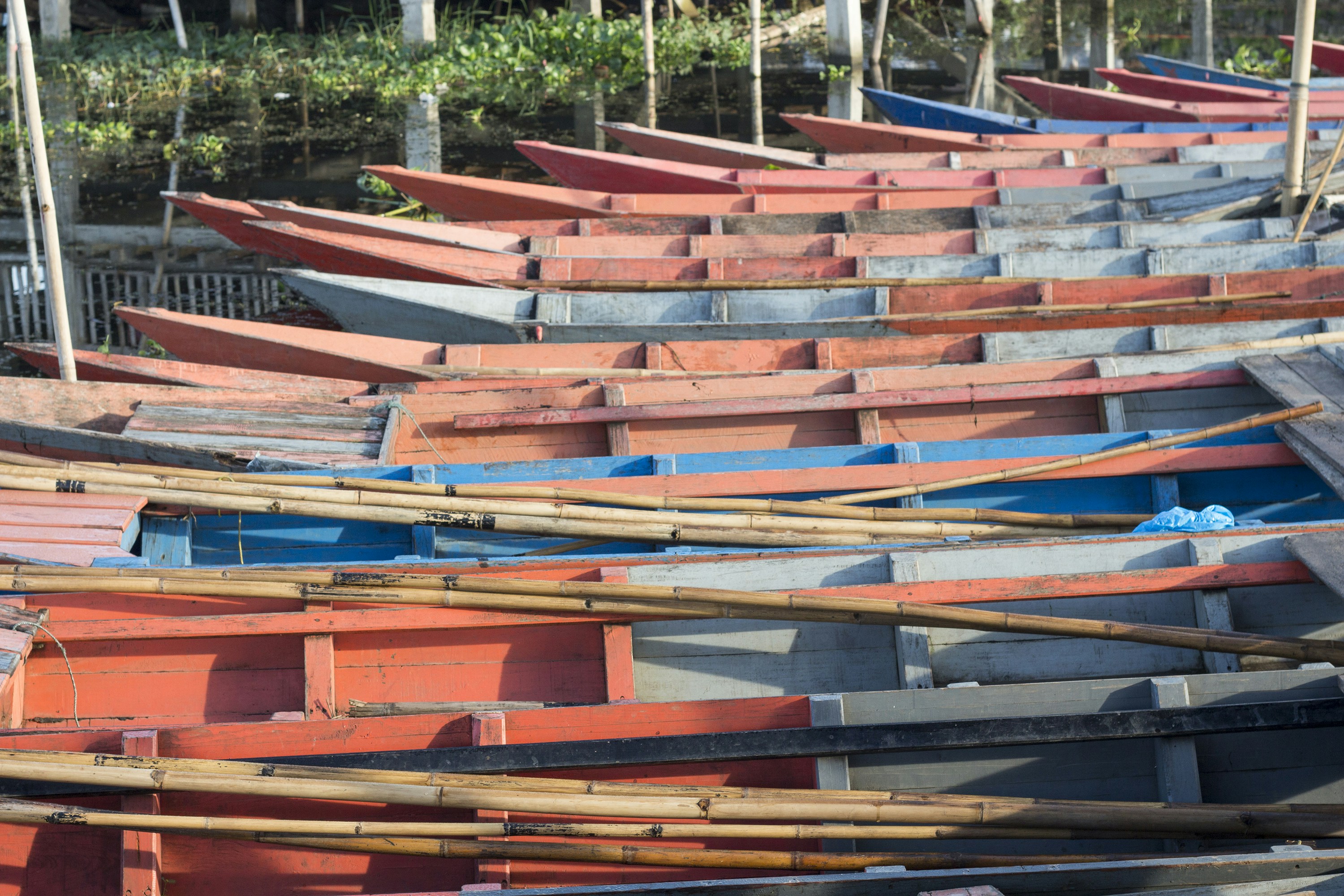 Row After Row: A Colorful Choir of Boats Resting on the Quiet Shore