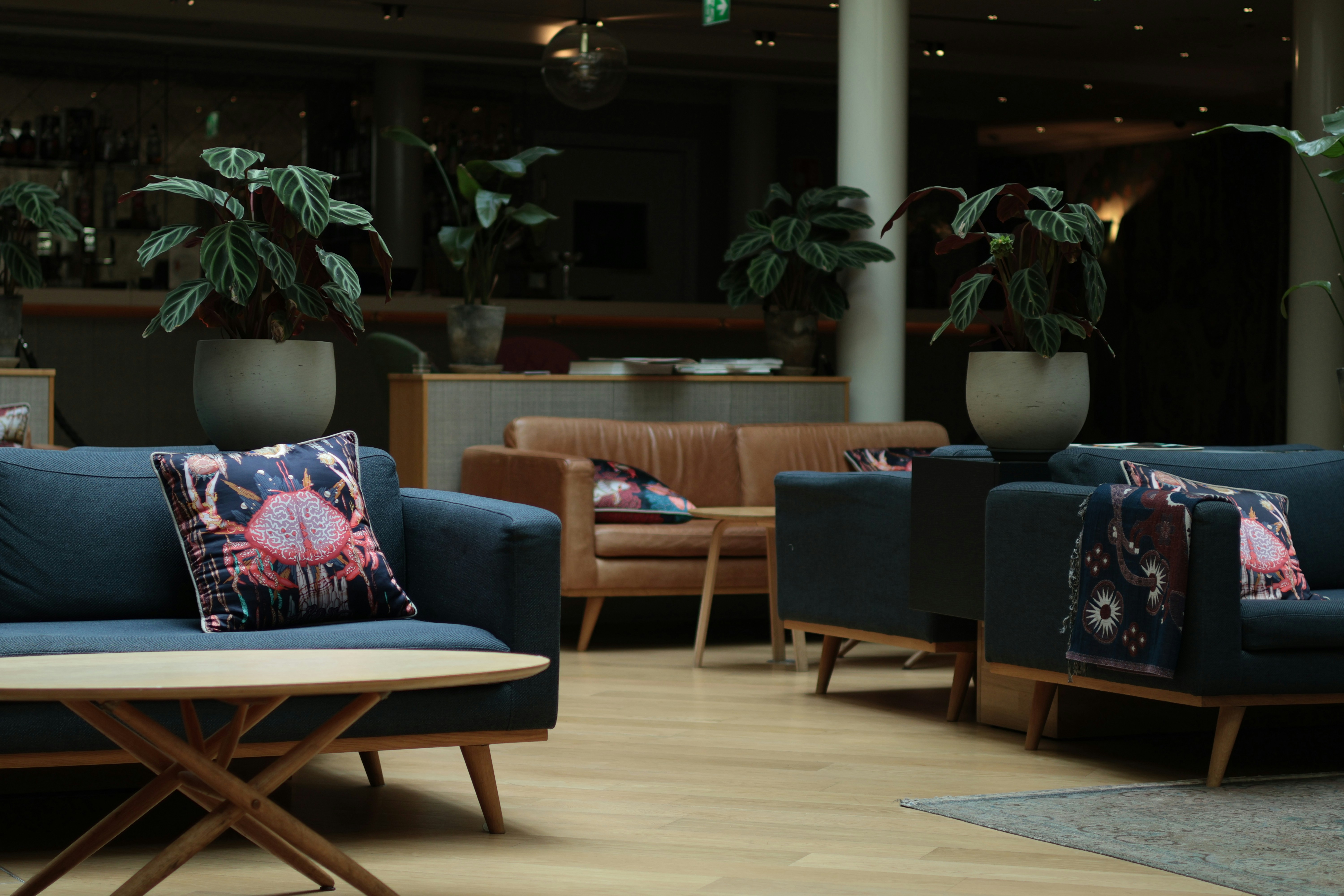 Cozy lounge silhouettes: cushions, plants, and mid-century seating in quiet lobby