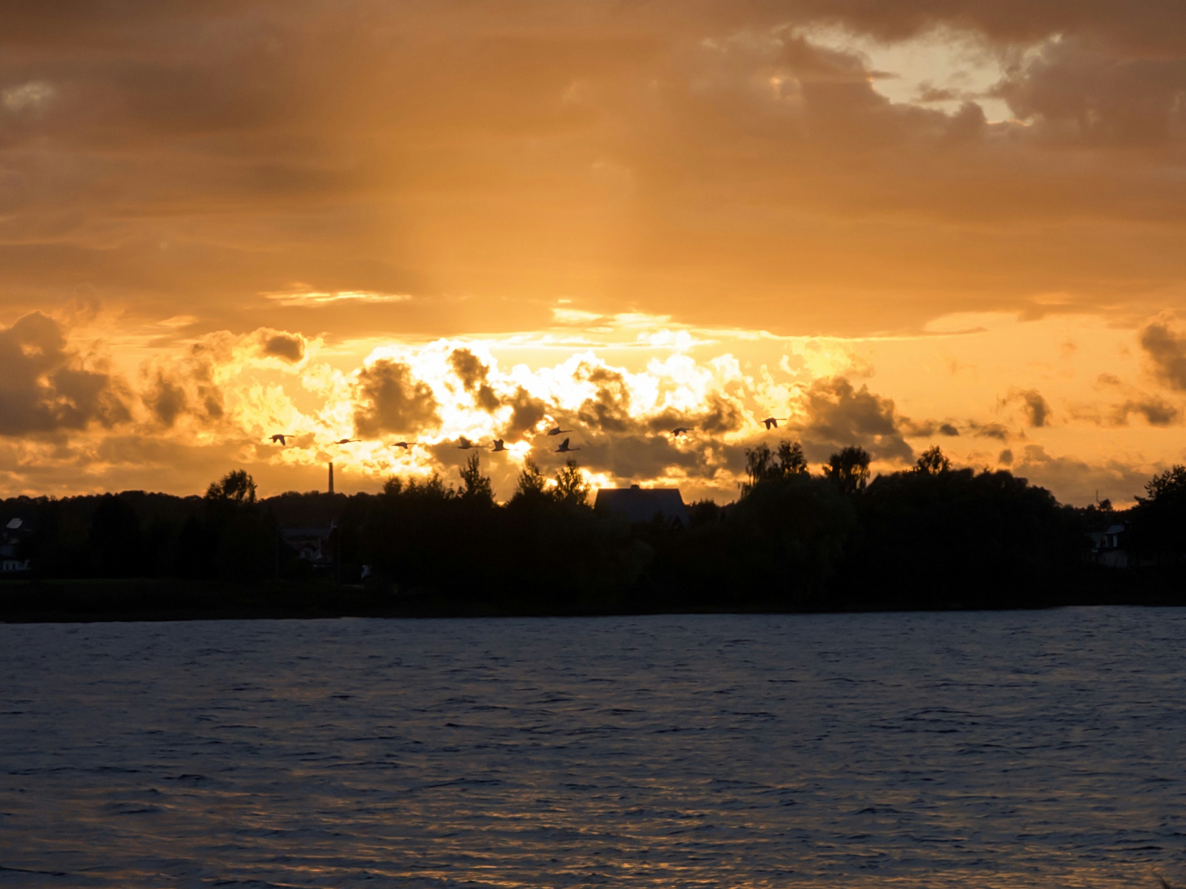 Dawn’s Edge: Silhouetted shoreline beneath a molten sunset