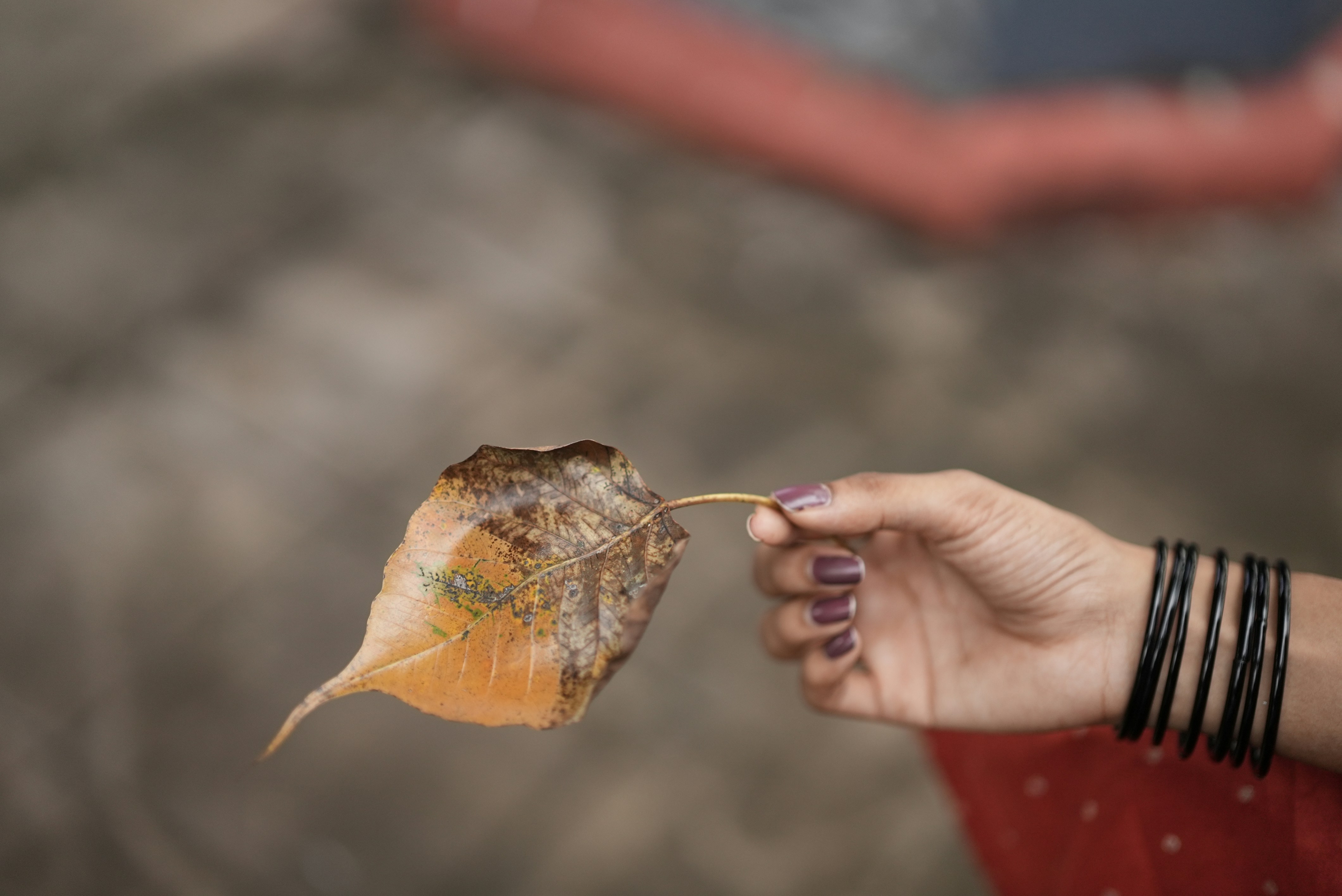 A single autumn leaf is held by a gloved hand with bracelets, against a blurred background.