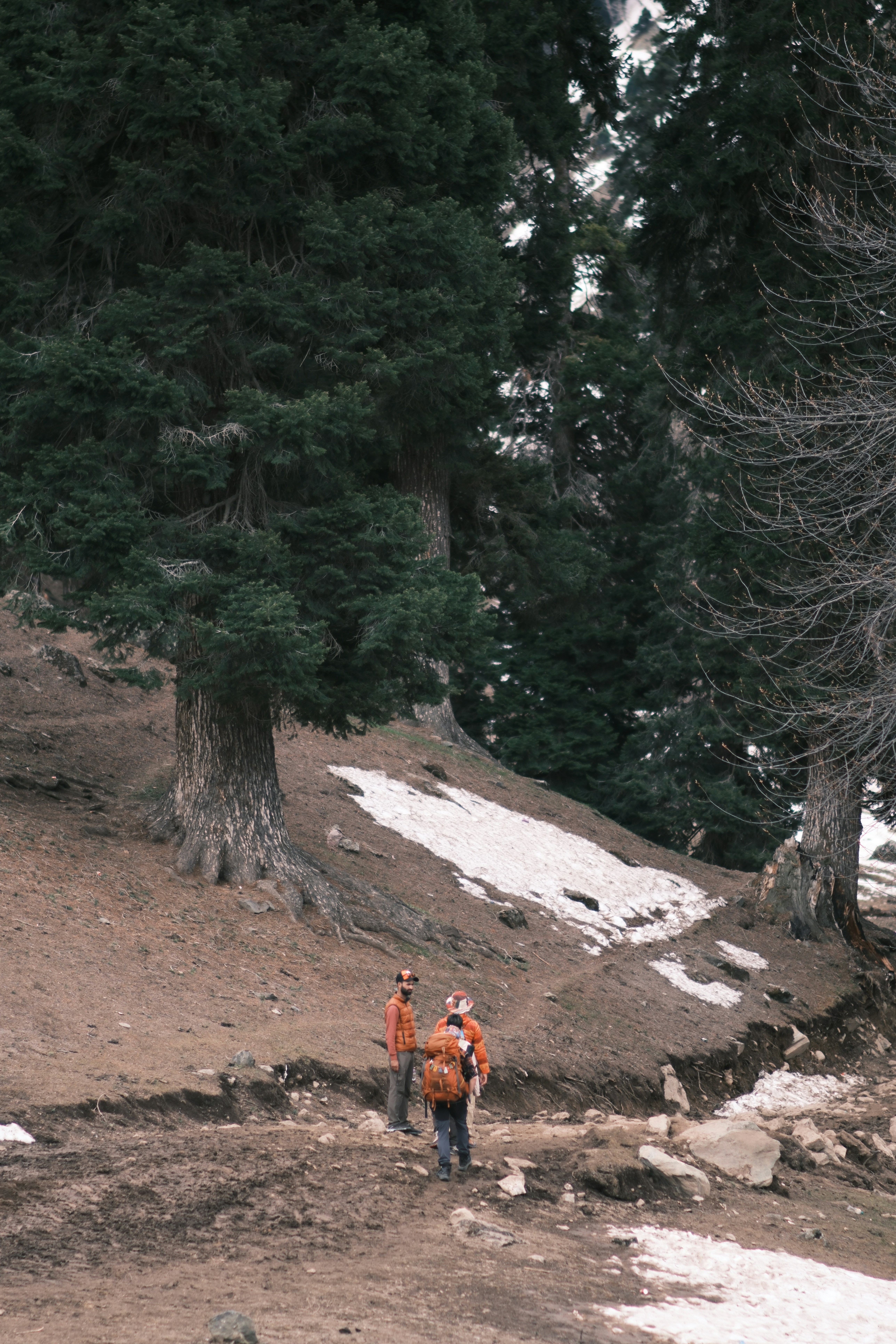 Climbers on a Forest Trail with patches of Snow