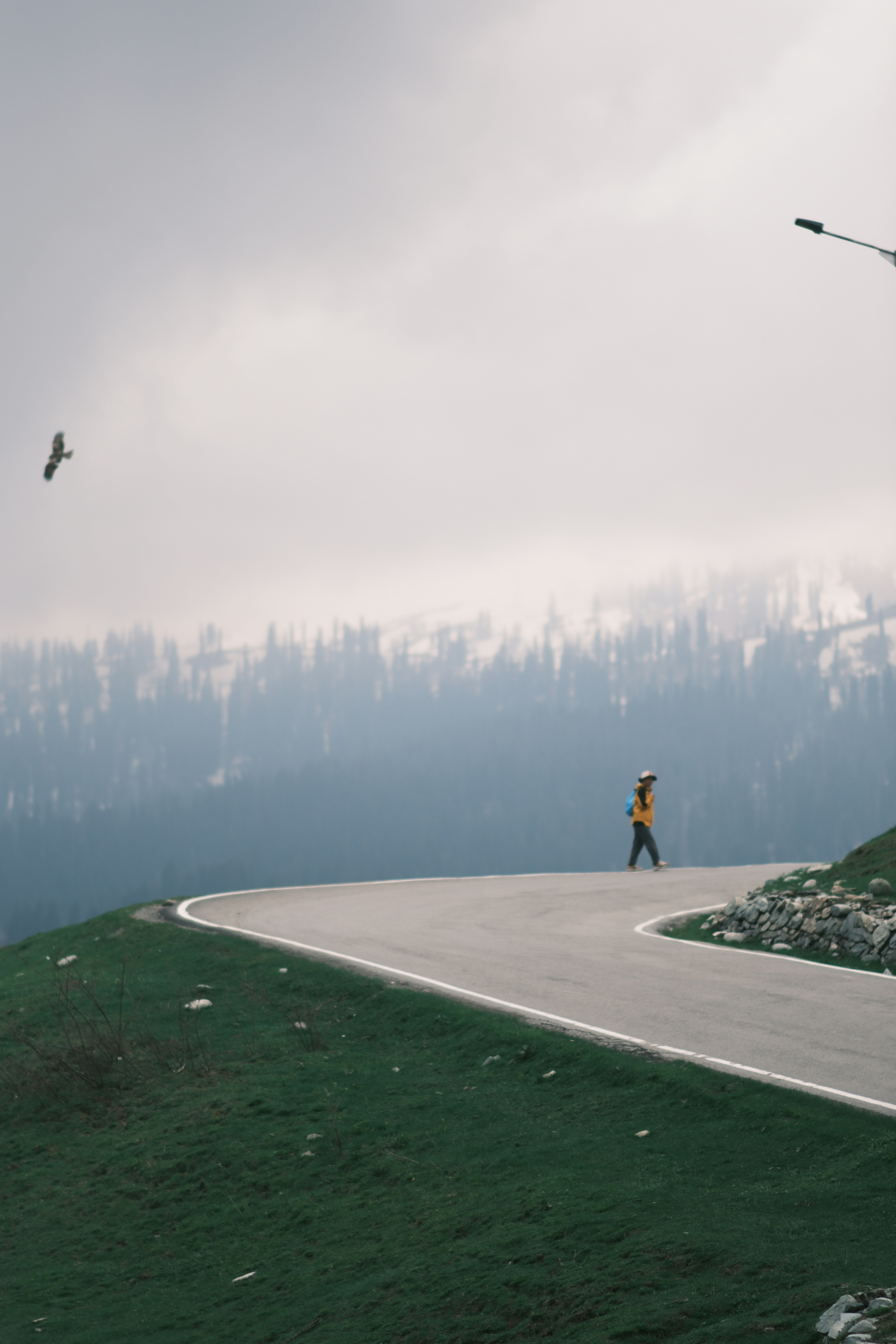 Curved Road to a Lone Walker under Misty Peaks