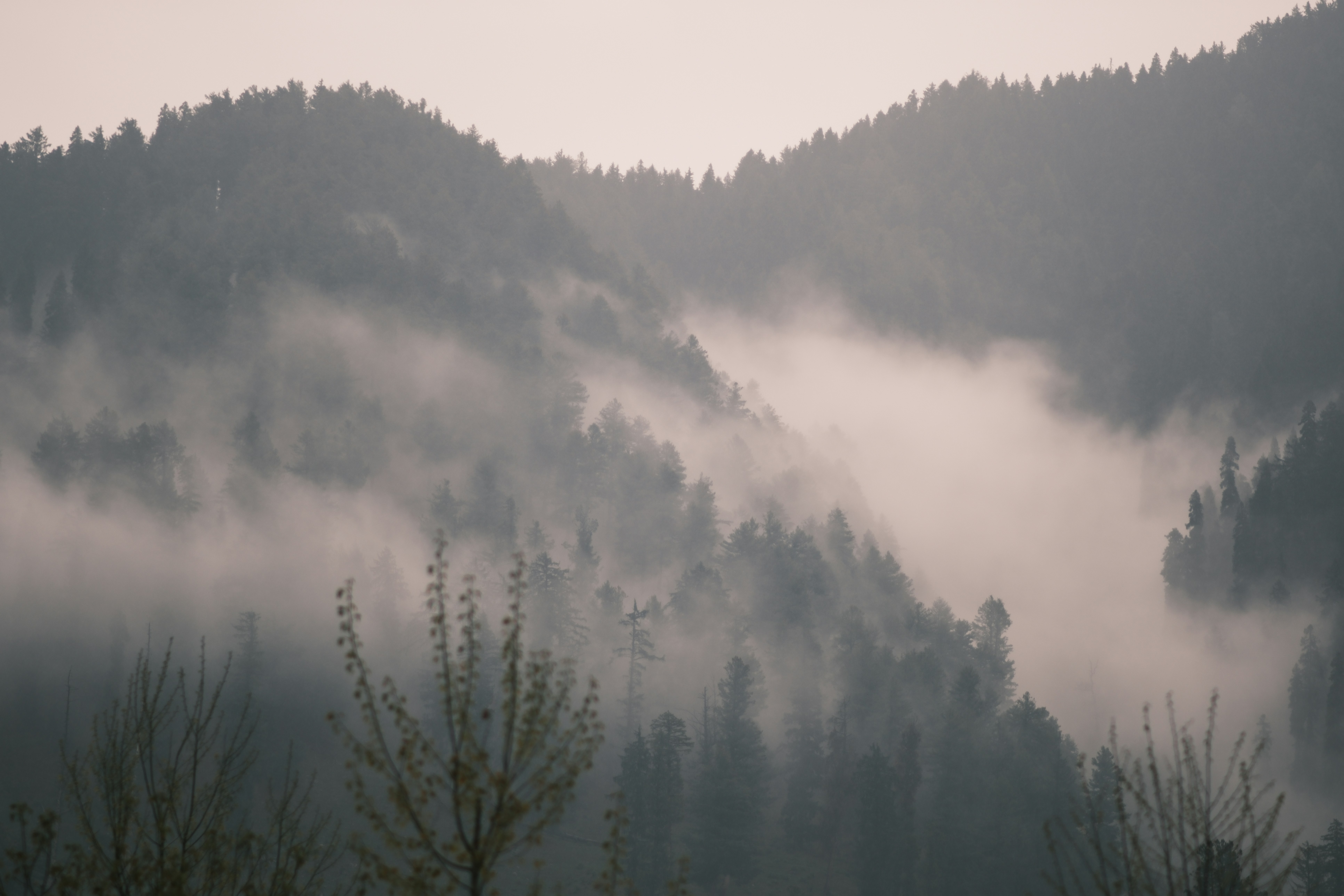 Mist Cliffs: Ridge Lines Emerging Through Quiet Fog