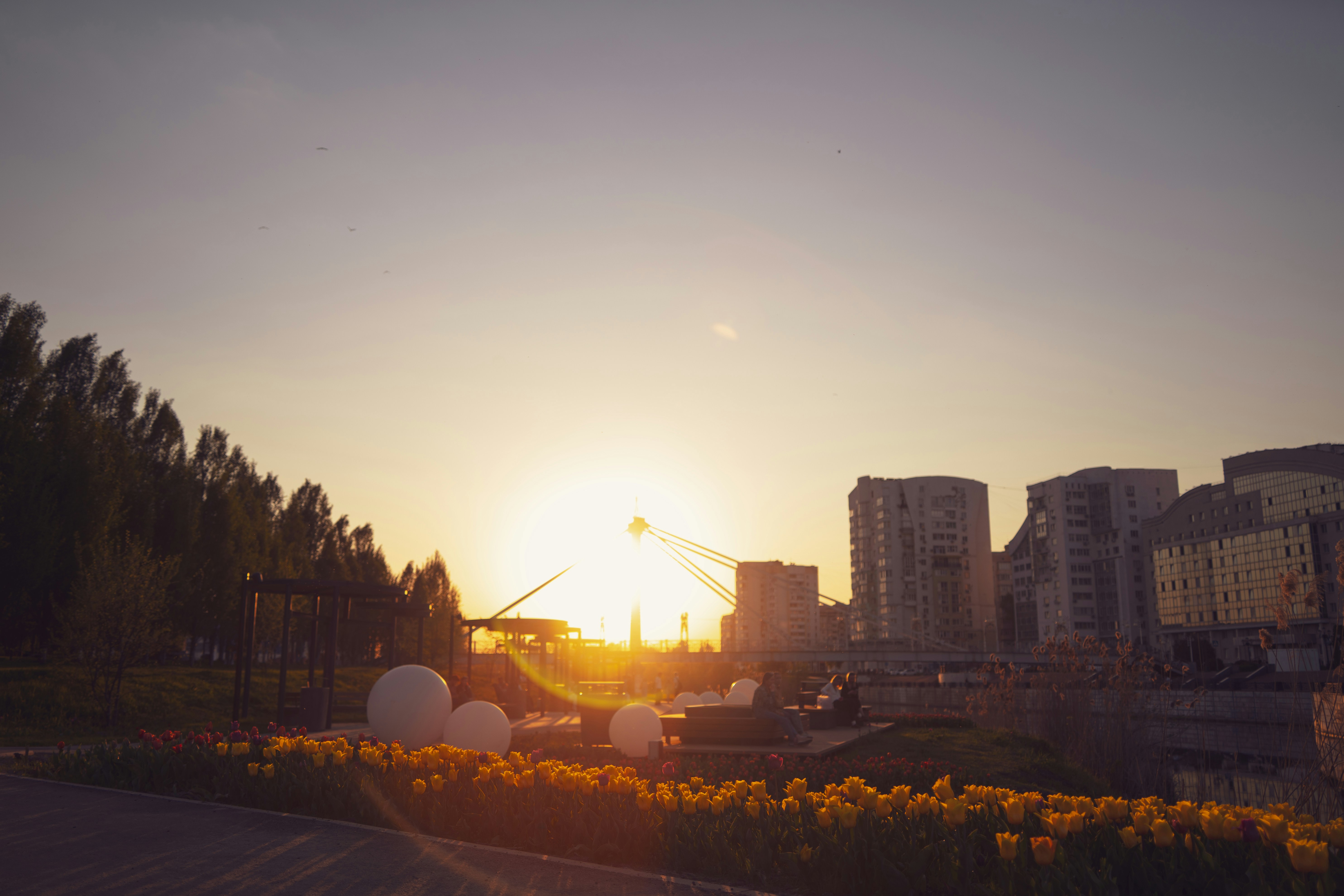 Sun-Kissed Parkscape Framed by Modern Towers