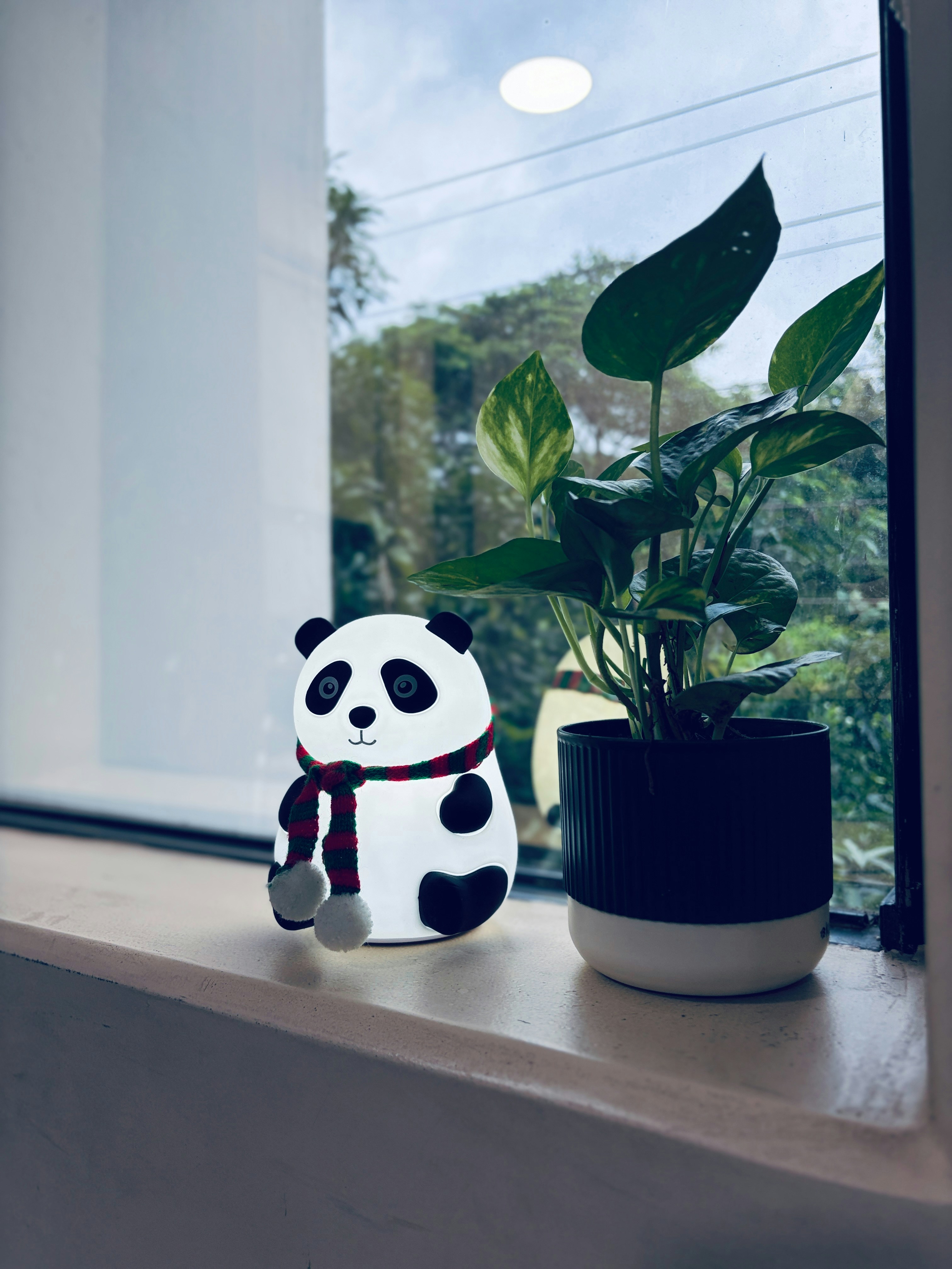 Panda Plush by the Window: Calm Greenery and Soft Light