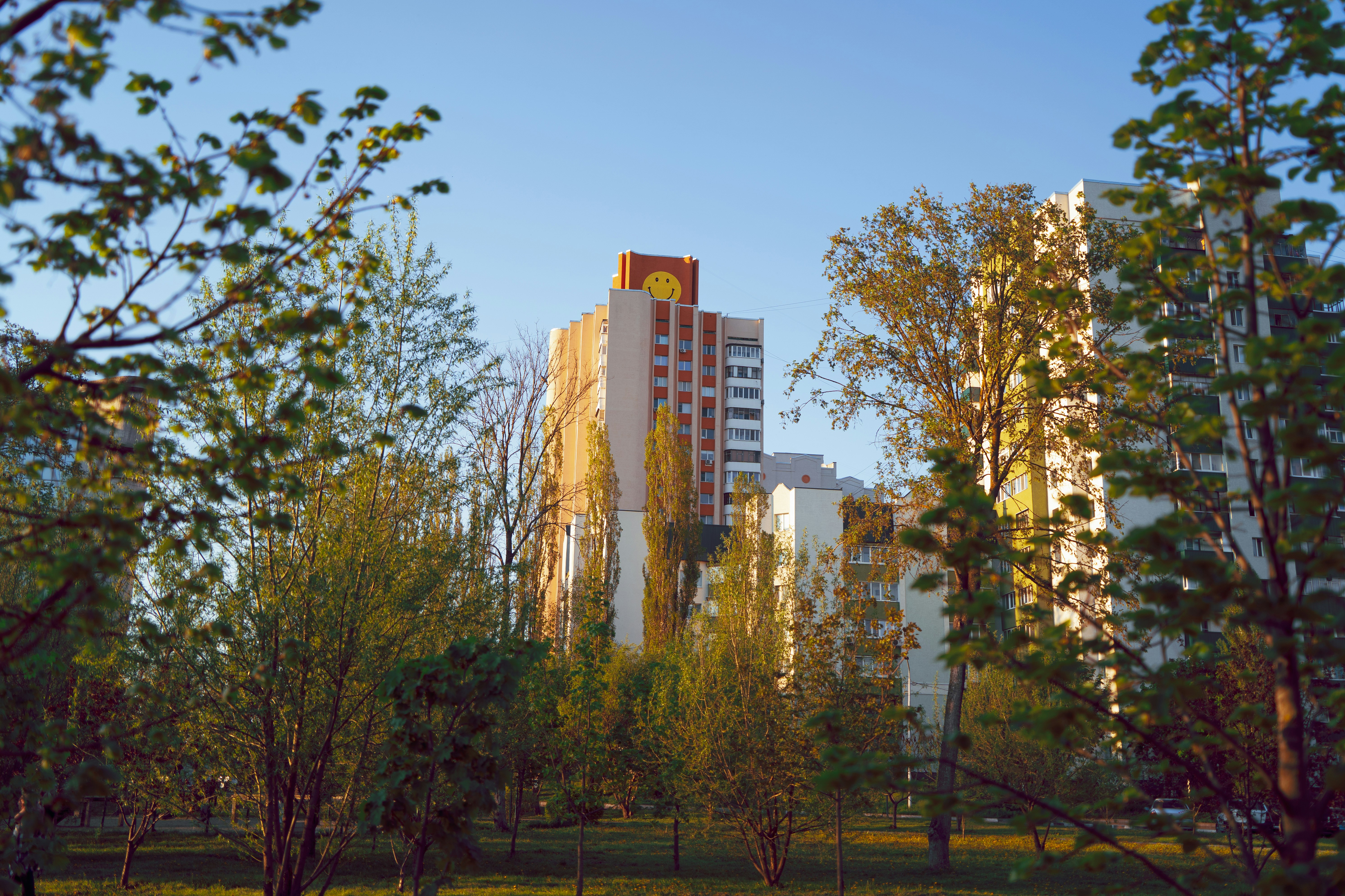 Urban Orchard at Dusk: Trees Framing a City Skyline