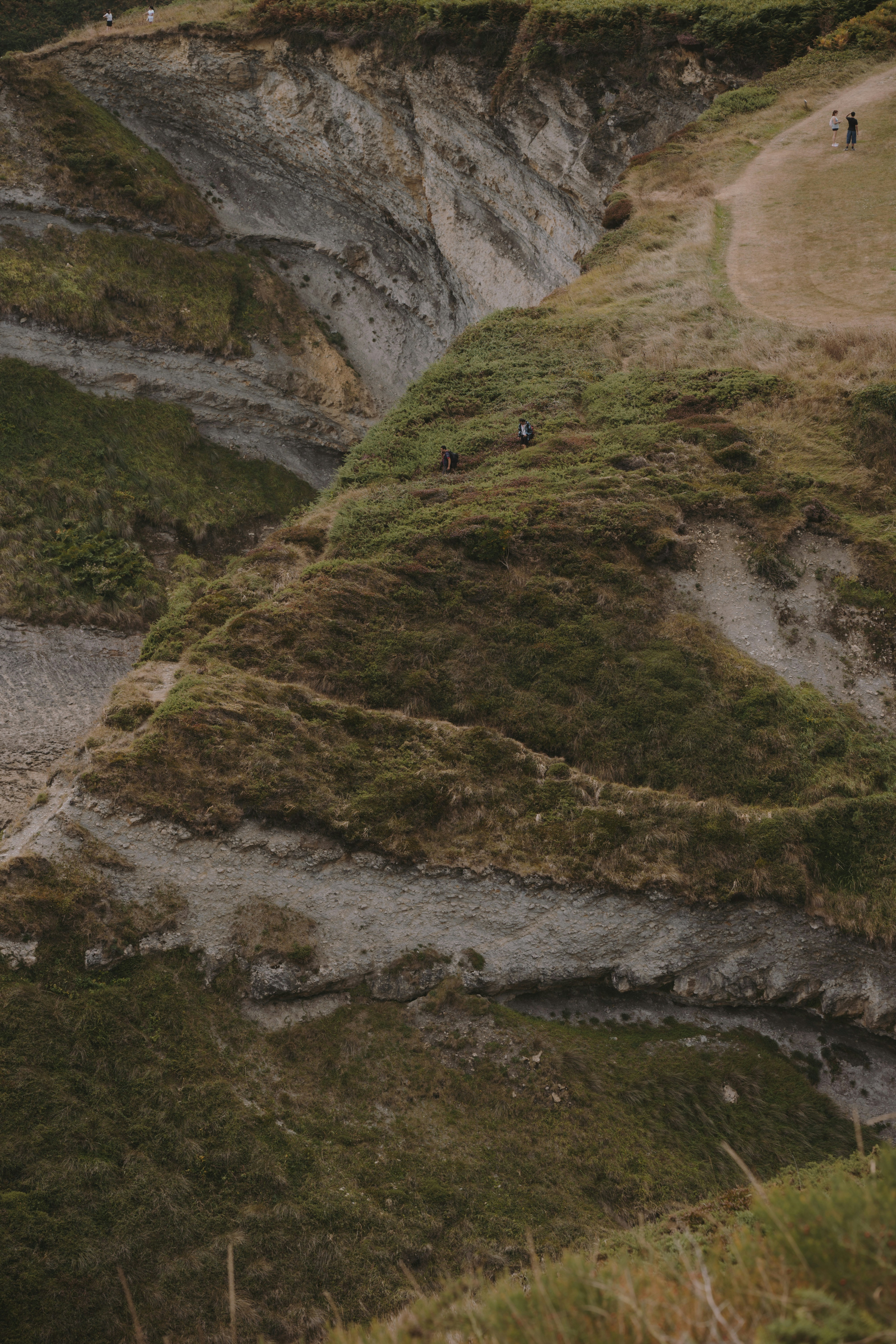 Pathway on the Cliff: A Narrow Trail amid Erosion and Grass