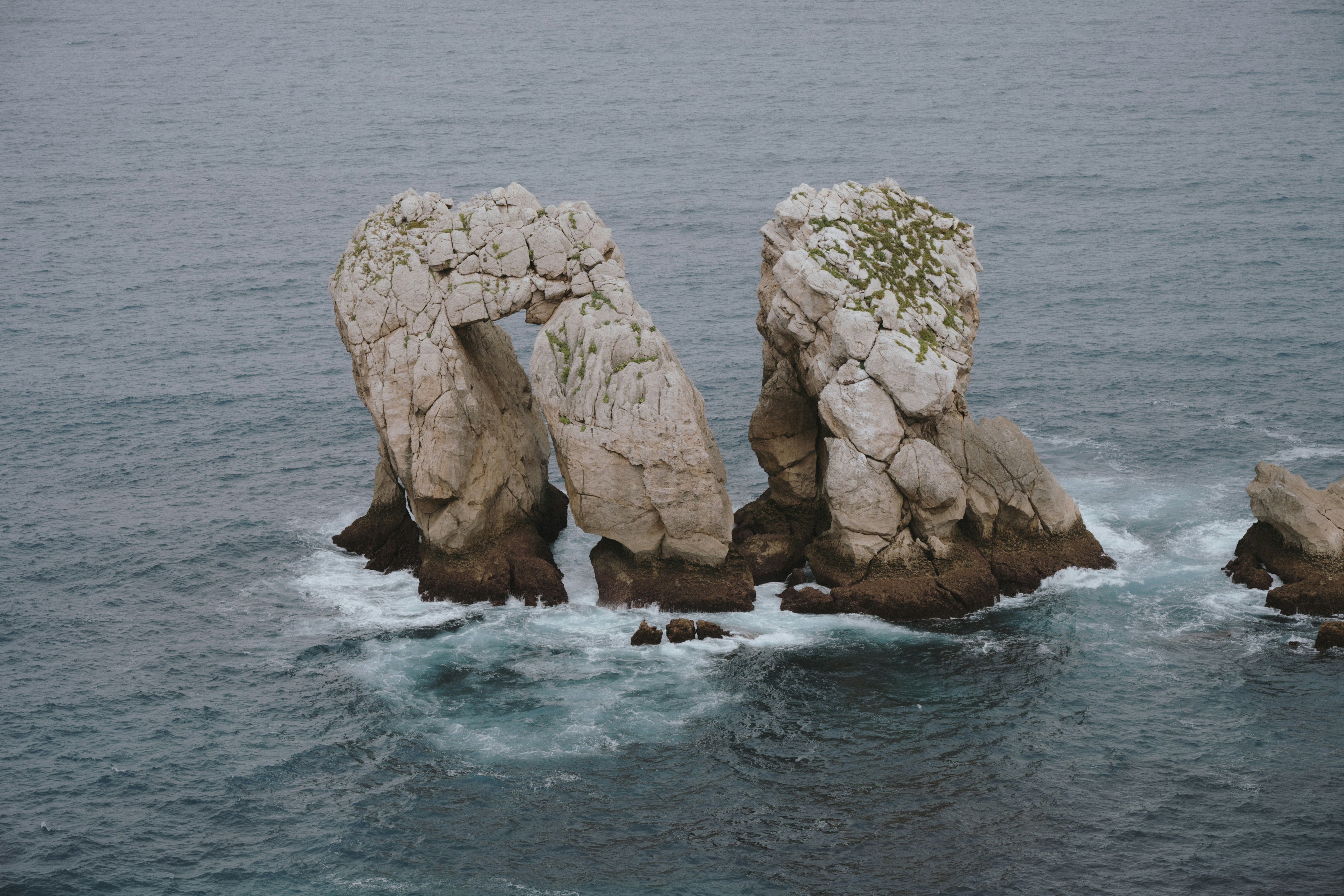 Ocean Arches: Twin Sea Stands Rising from Quiet Currents