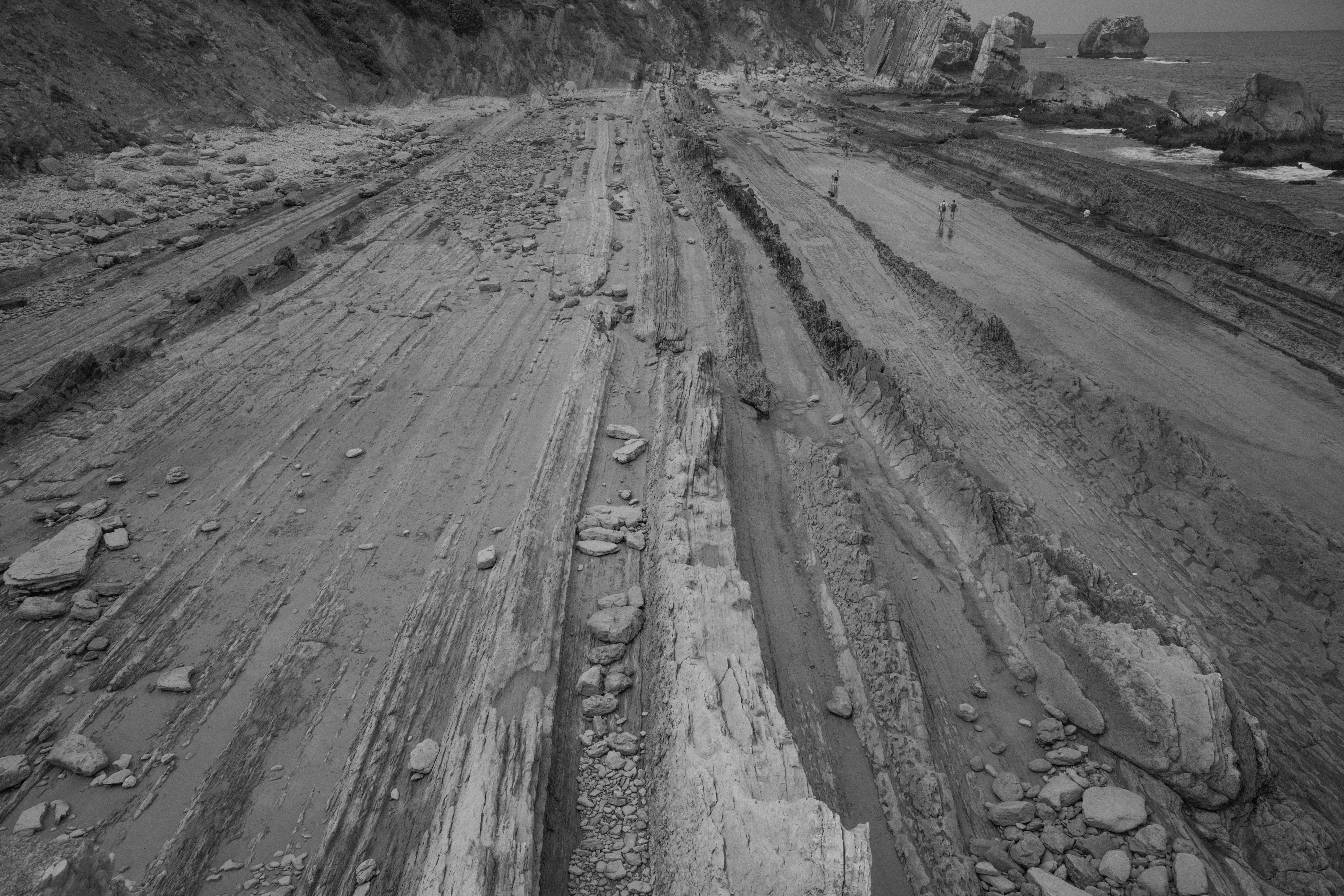 Rugged Tracks Carved by Time and Tides