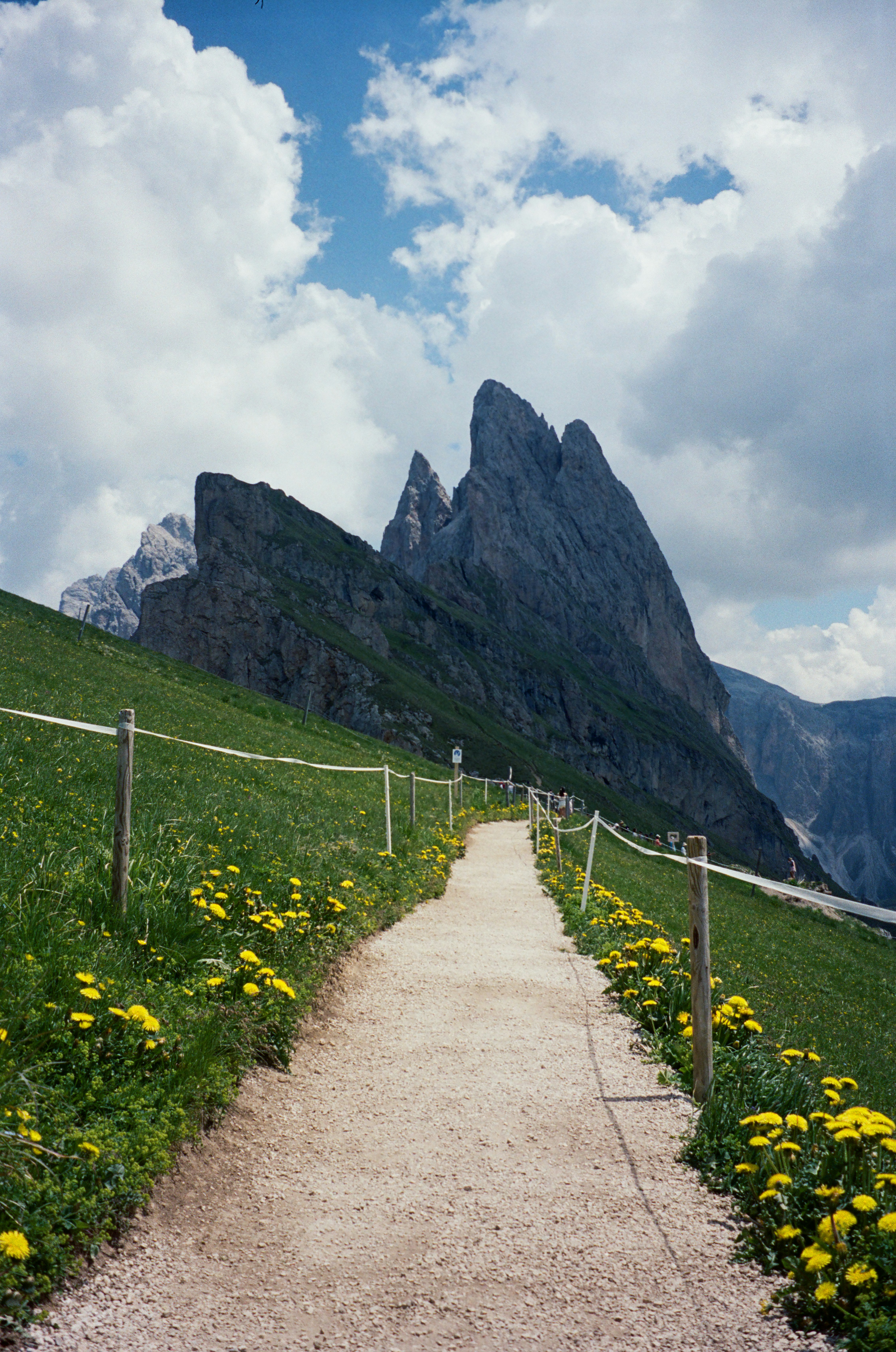 Gravel path lined with yellow wildflowers leads toward a jagged mountain peak under a blue sky with fluffy clouds. A shepherd-like fence guides the eye toward the dramatic ridge.