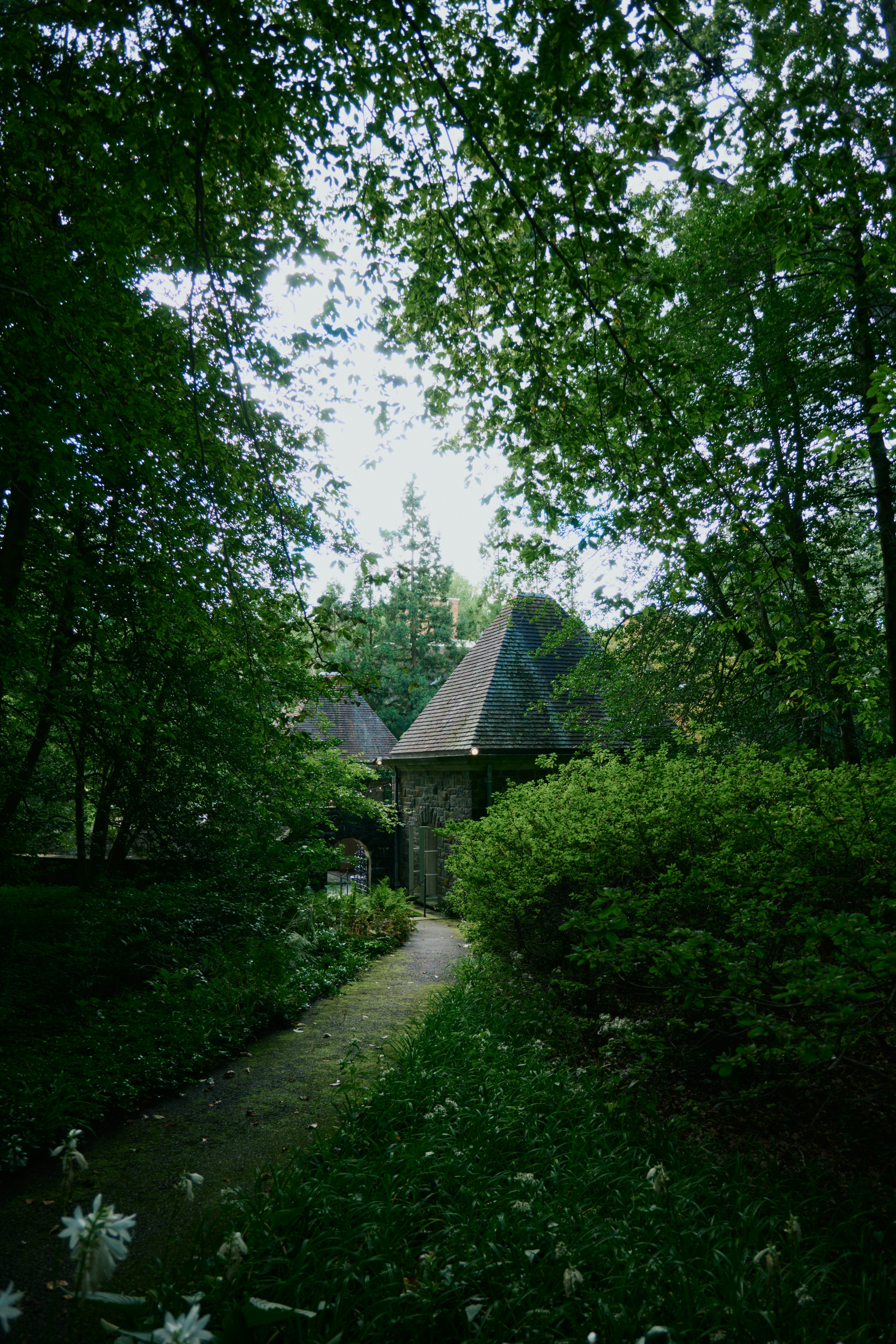 Hidden Garden Gate Beneath a Canopy of Green