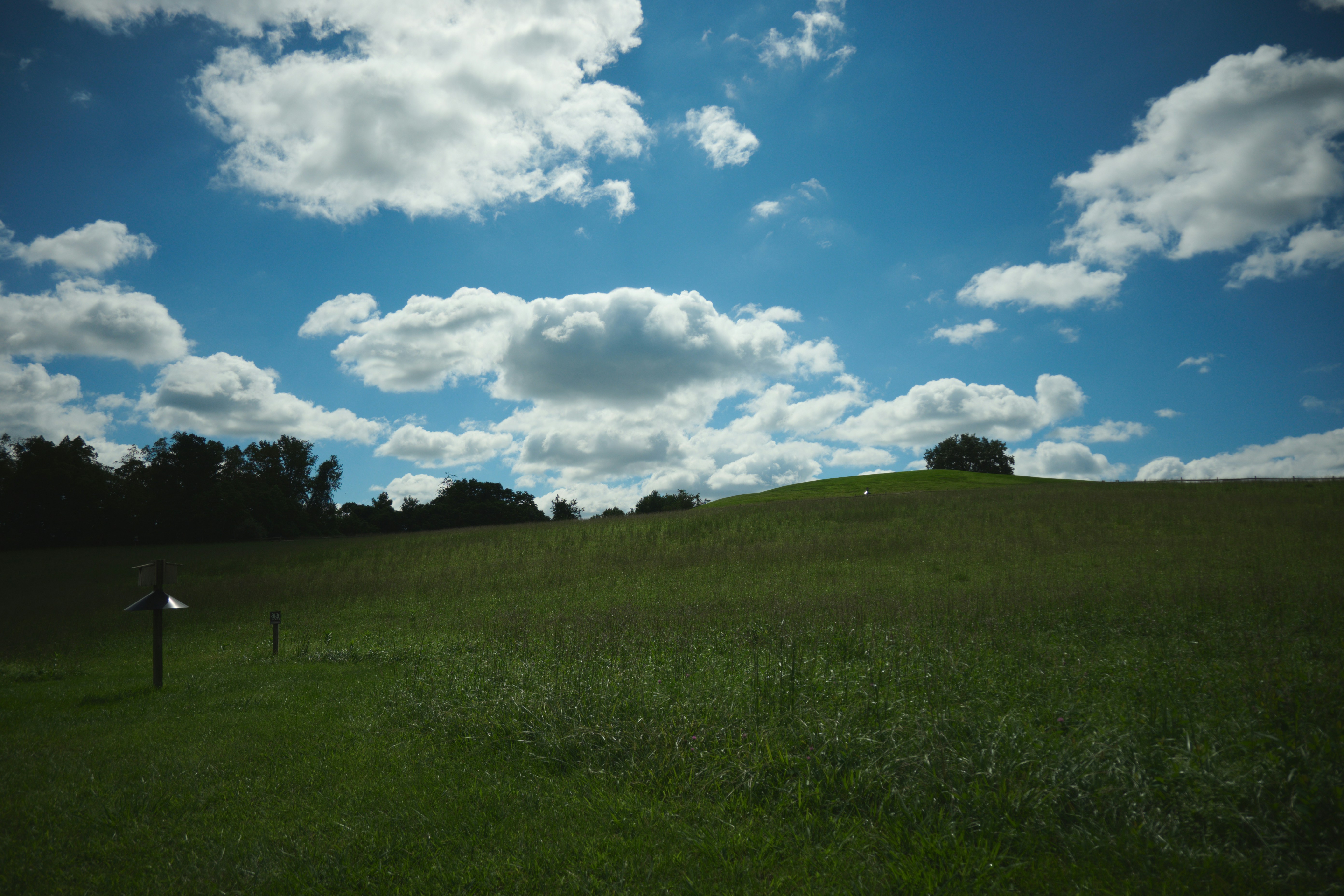 Lawn on a Gentle Hill Under a Puffed Sky