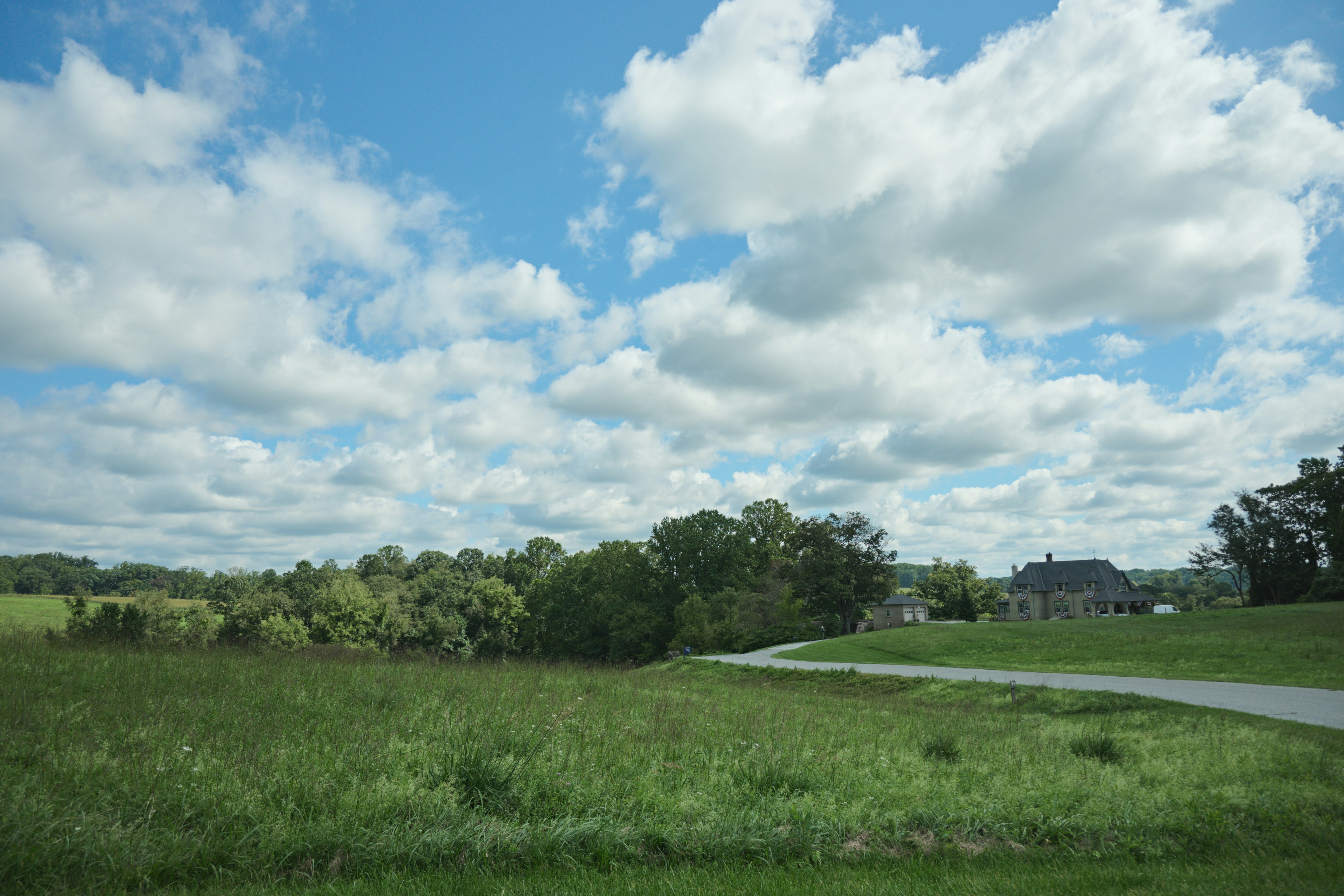 Sunlit Prairie Path Toward a Quiet Suburban Home