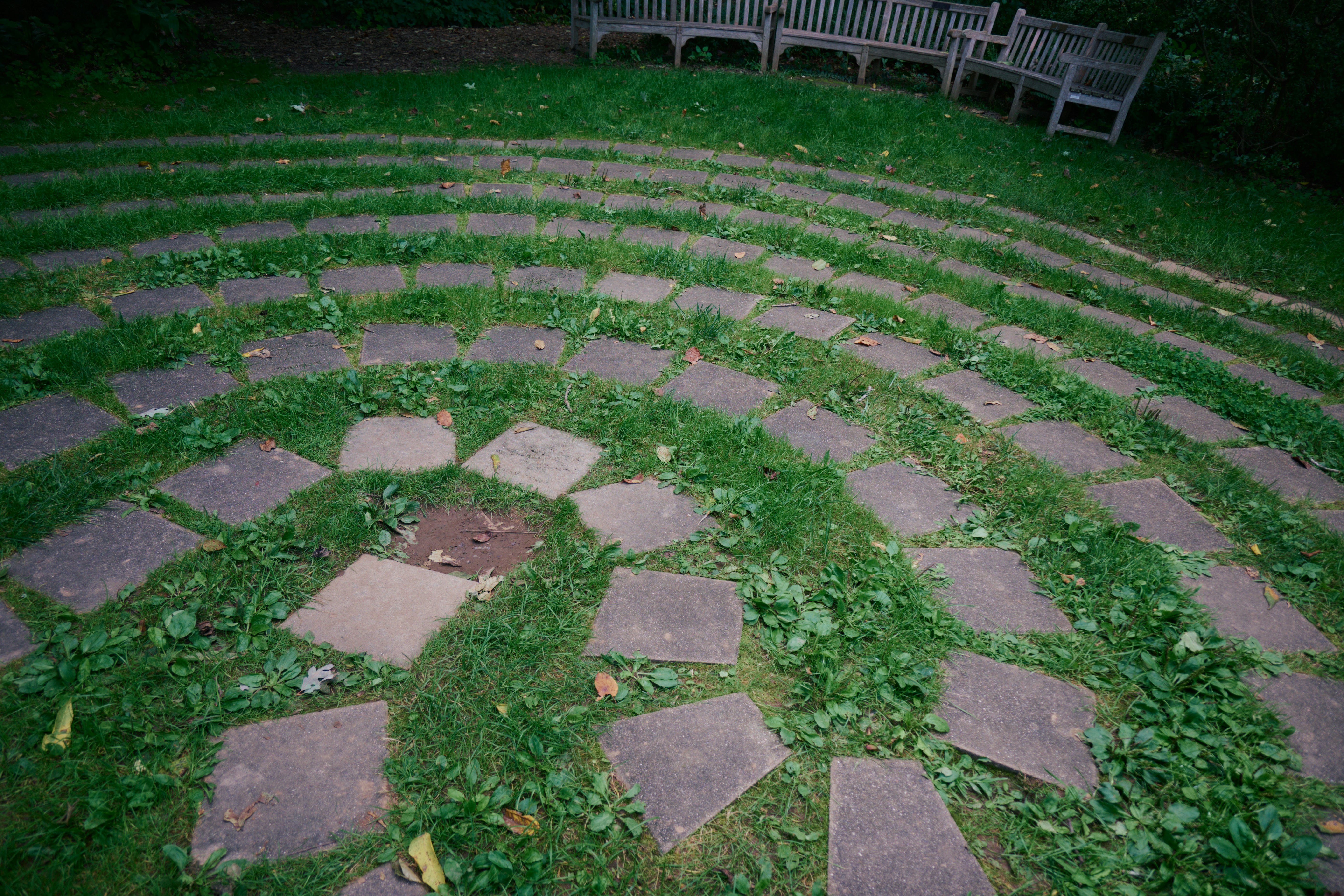 Circular Stone Amphitheater in a Lawn of Curved Stones