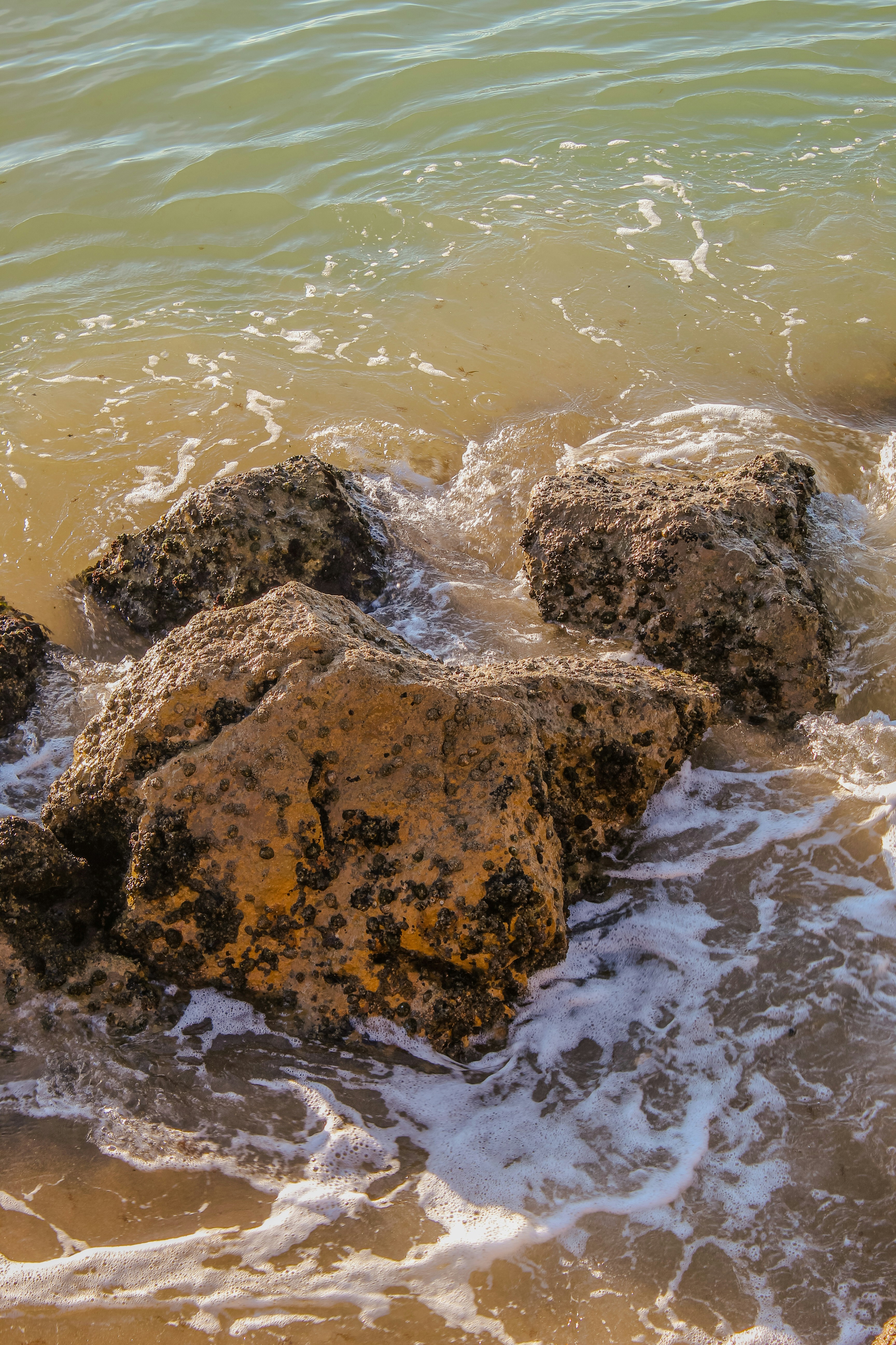 Rugged Rocks Meet Tide: A Textured Coastline Portrait