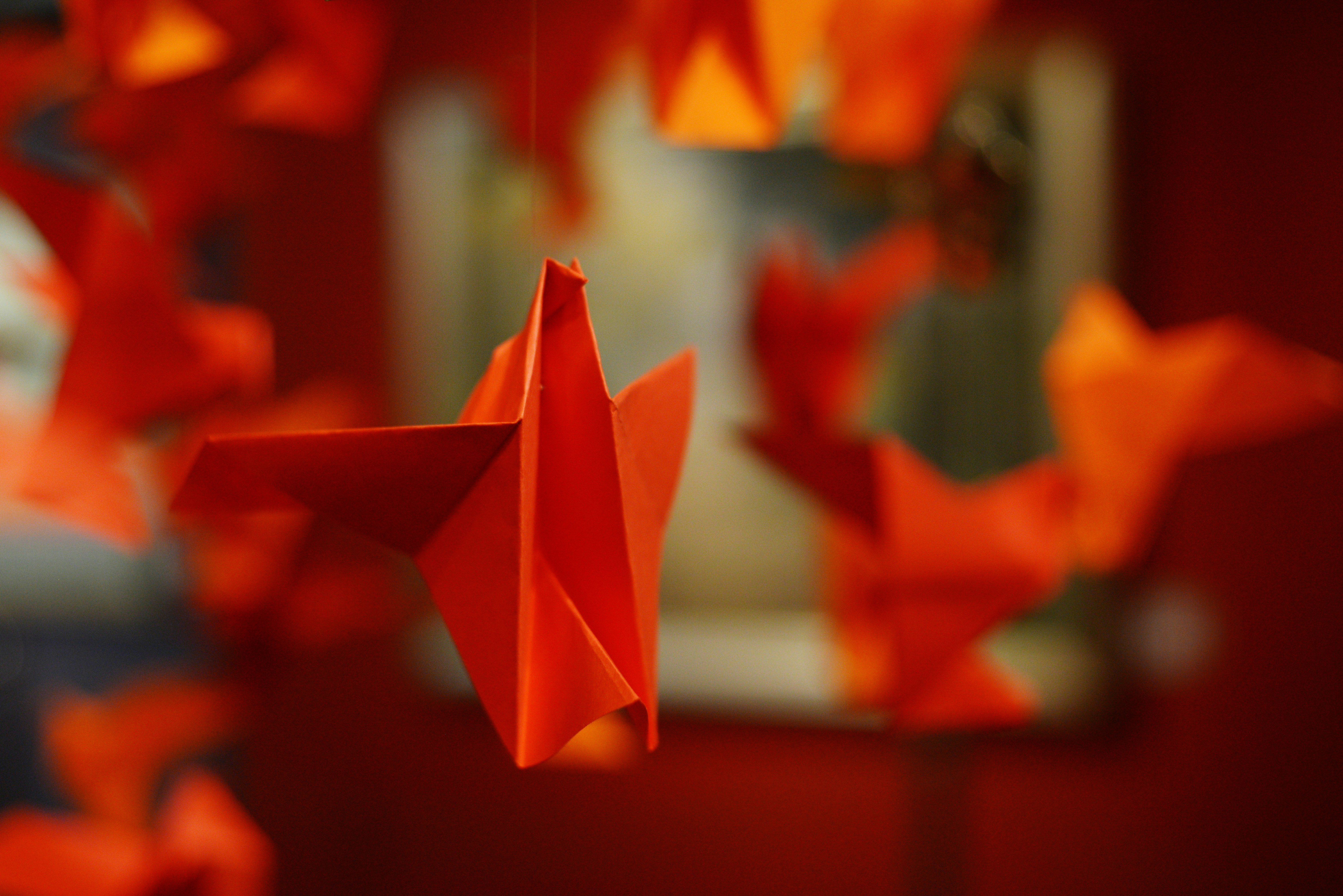 Origami in Focus: A Crimson Crane Anchors a Dreamlike Display