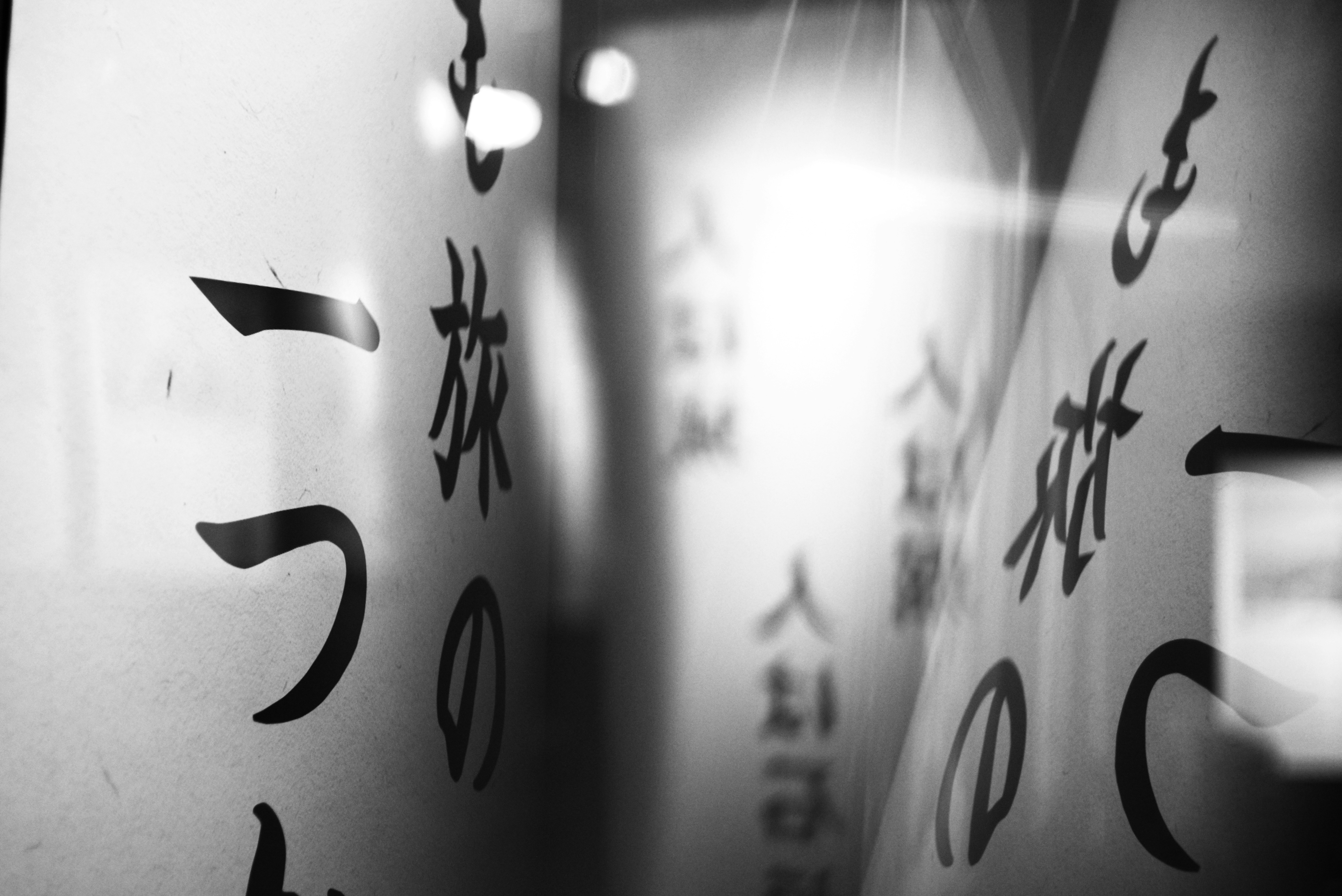 Between the Calligraphy: An Infinite Corridor of Hanging Ink