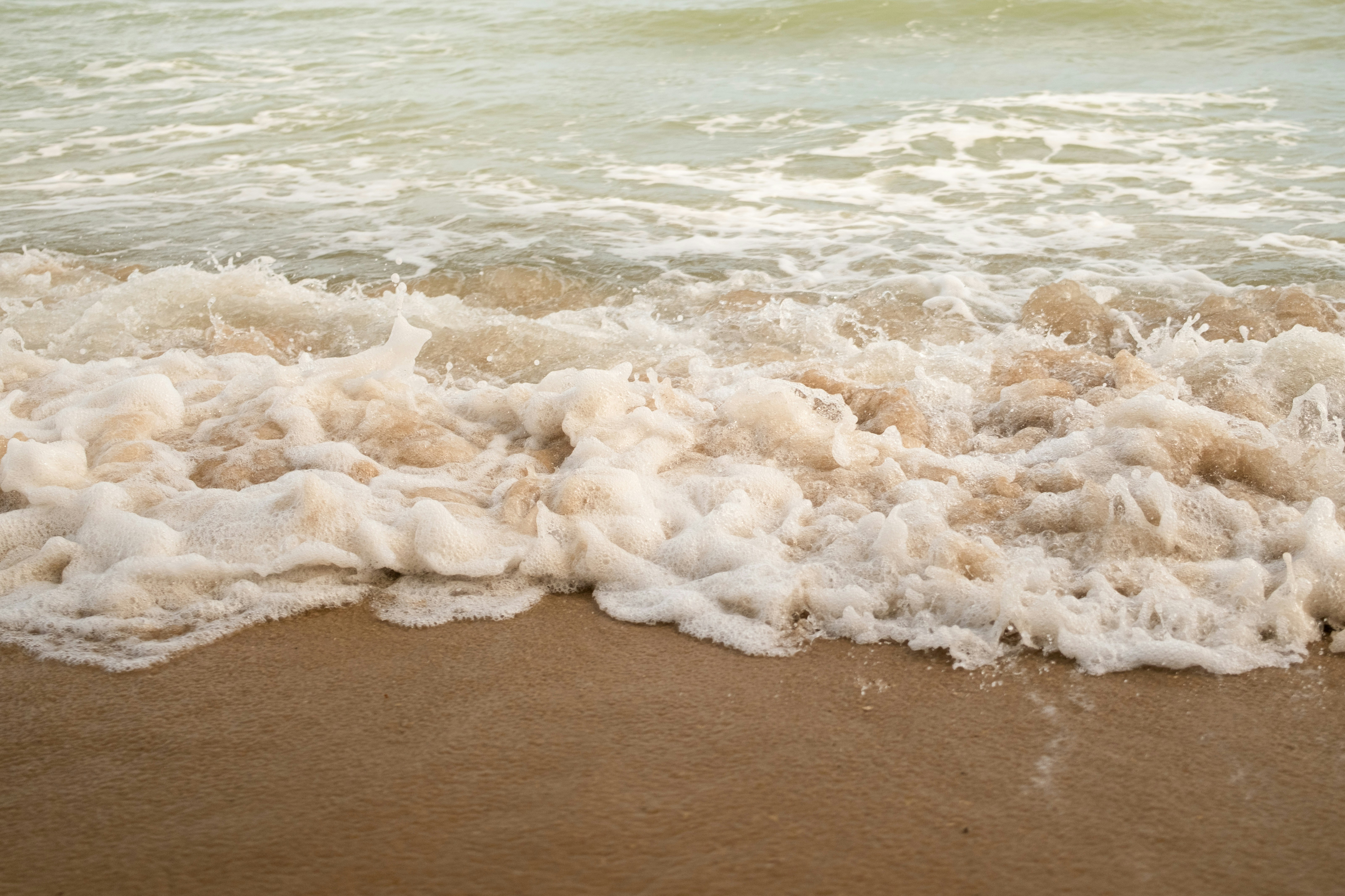 Foamy Tide at the Quiet Edge