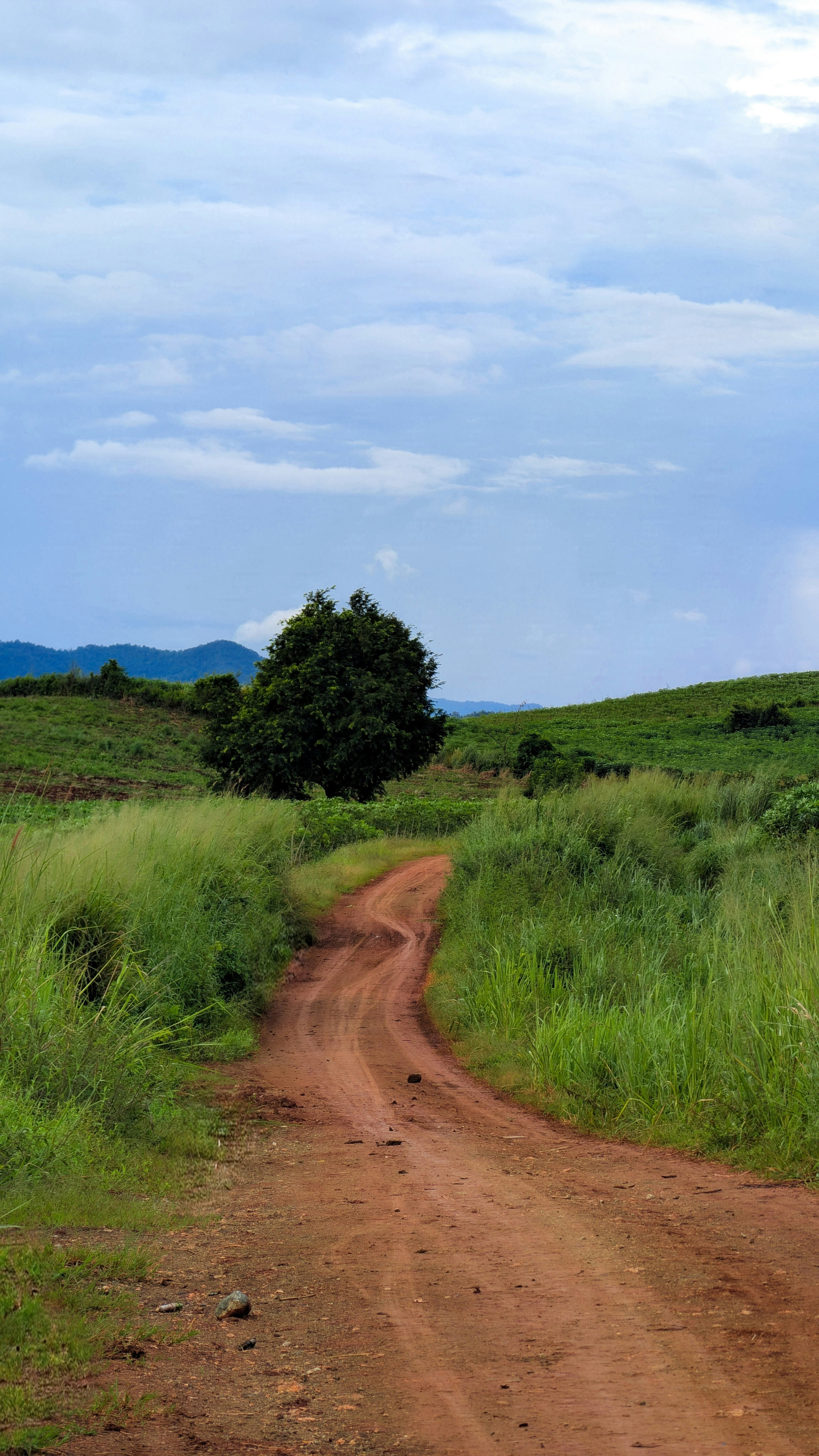 Rugged Red Dirt Path through Grassland Under Wide Sky