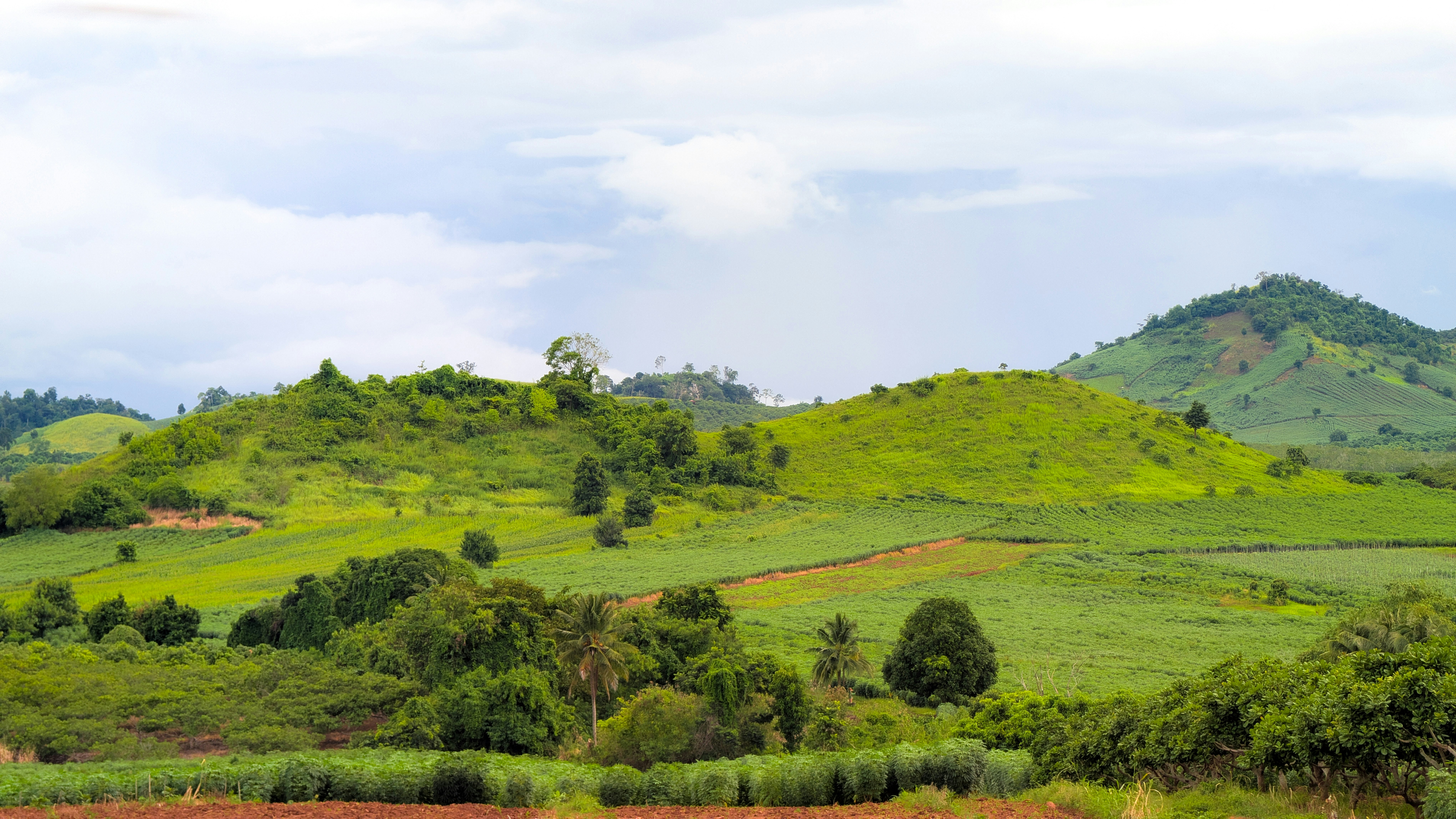 Verdant Hills Under Soft Afternoon Light