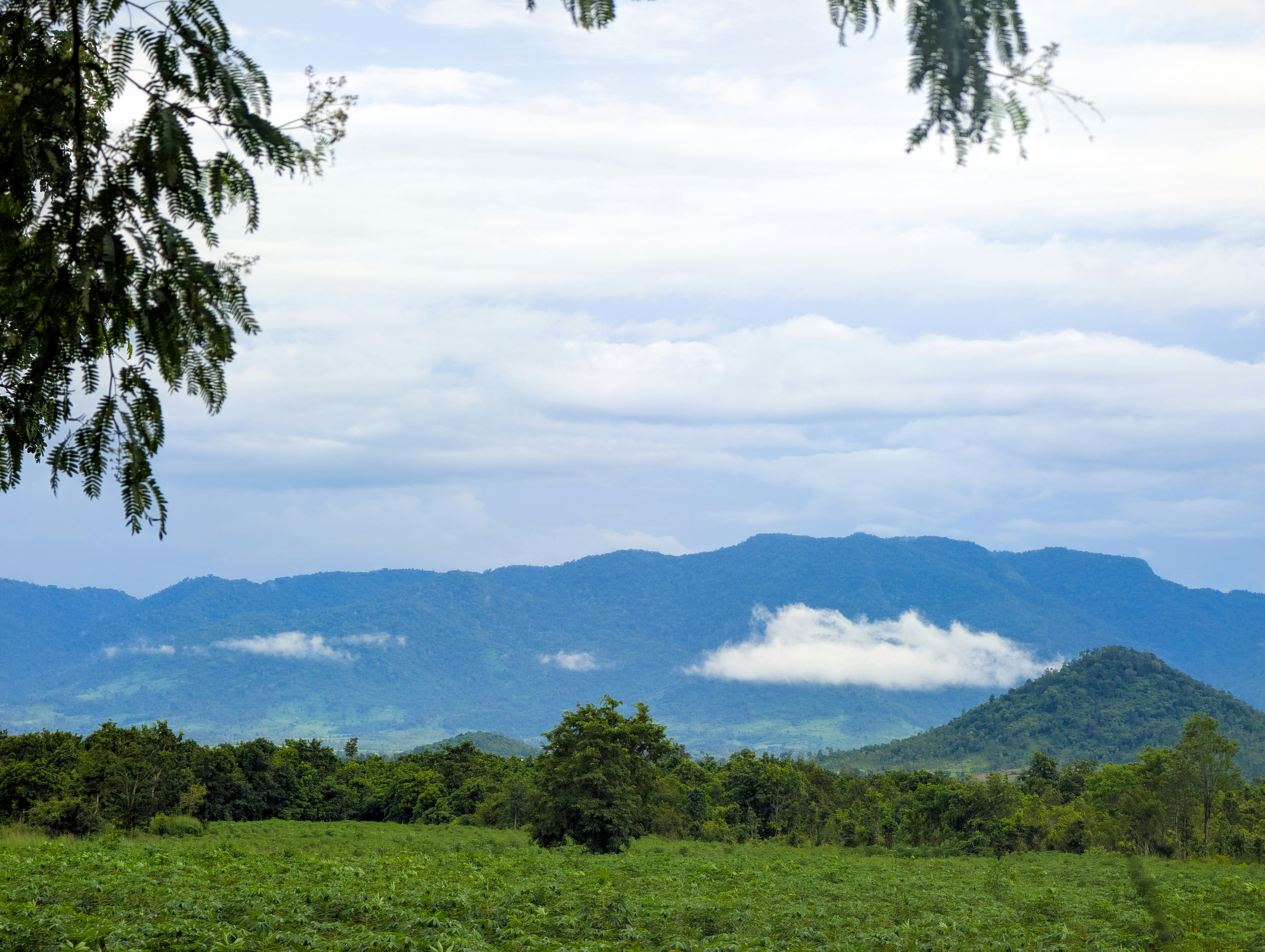 Mist over the Blue Ridge: Valley Against a Sky-Veiled Range
